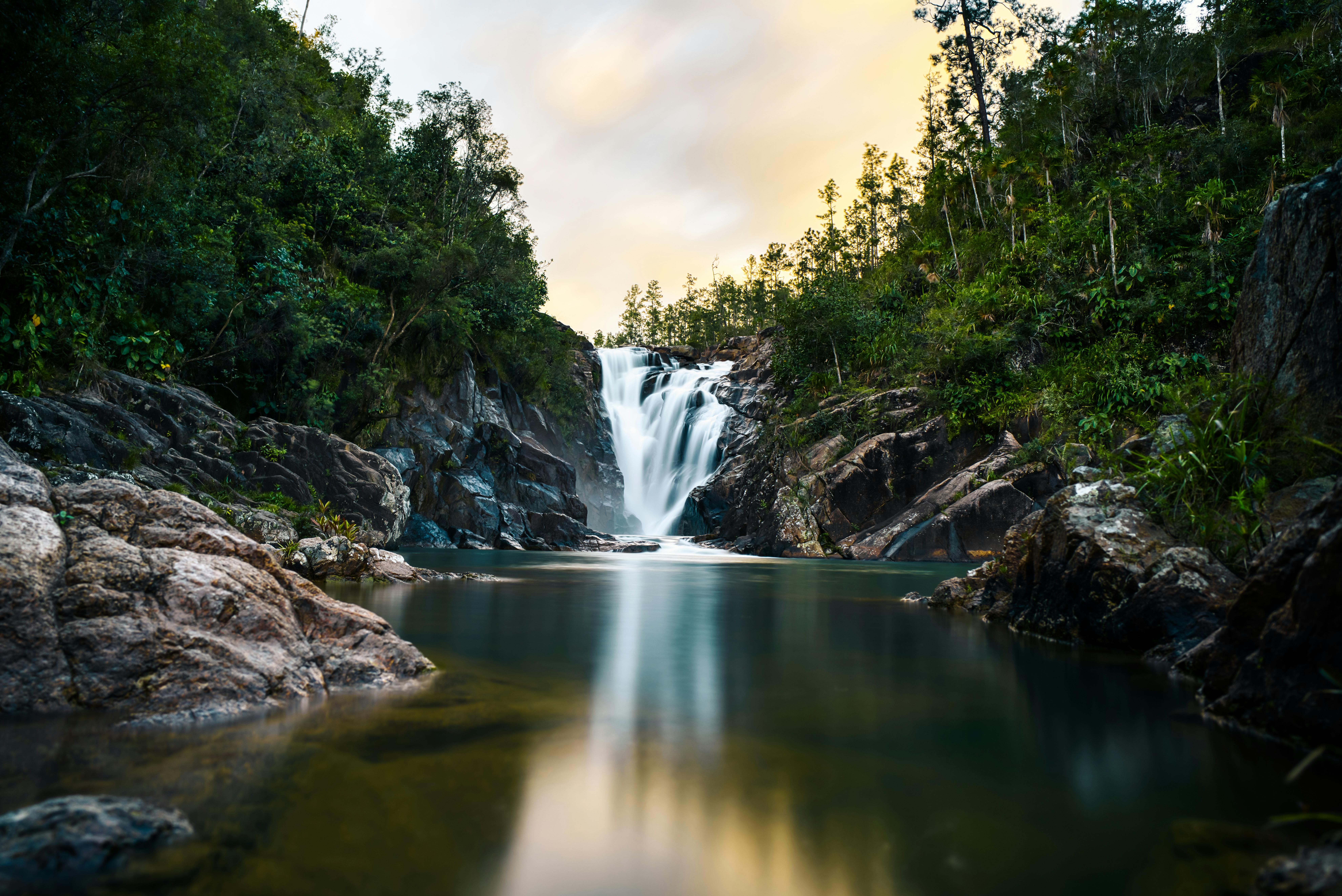 Waterfall in Mountain Pine Ridge Forest Reserve in Belize · Free Stock ...