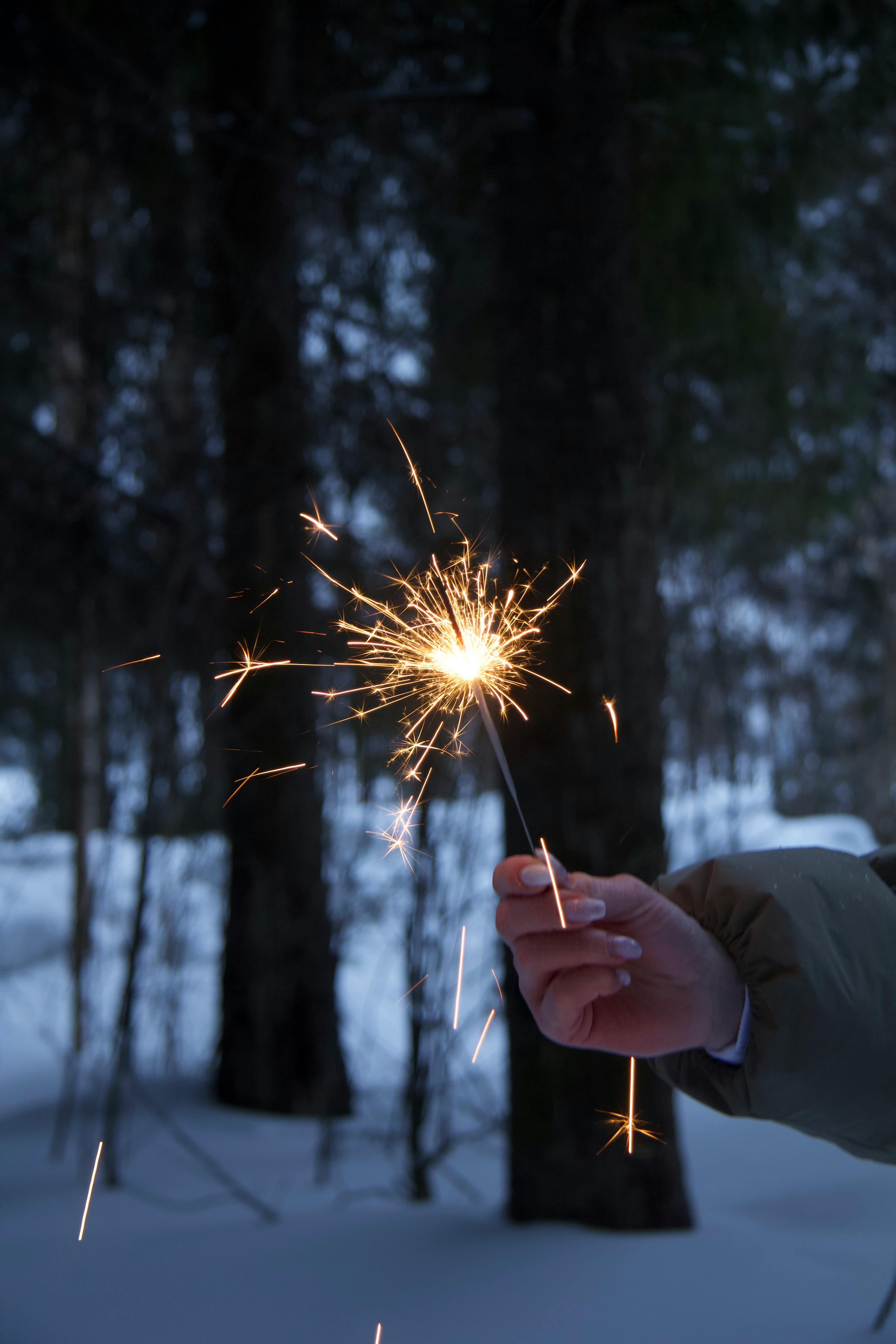 Firework In Forest Photos, Download The BEST Free Firework In Forest ...