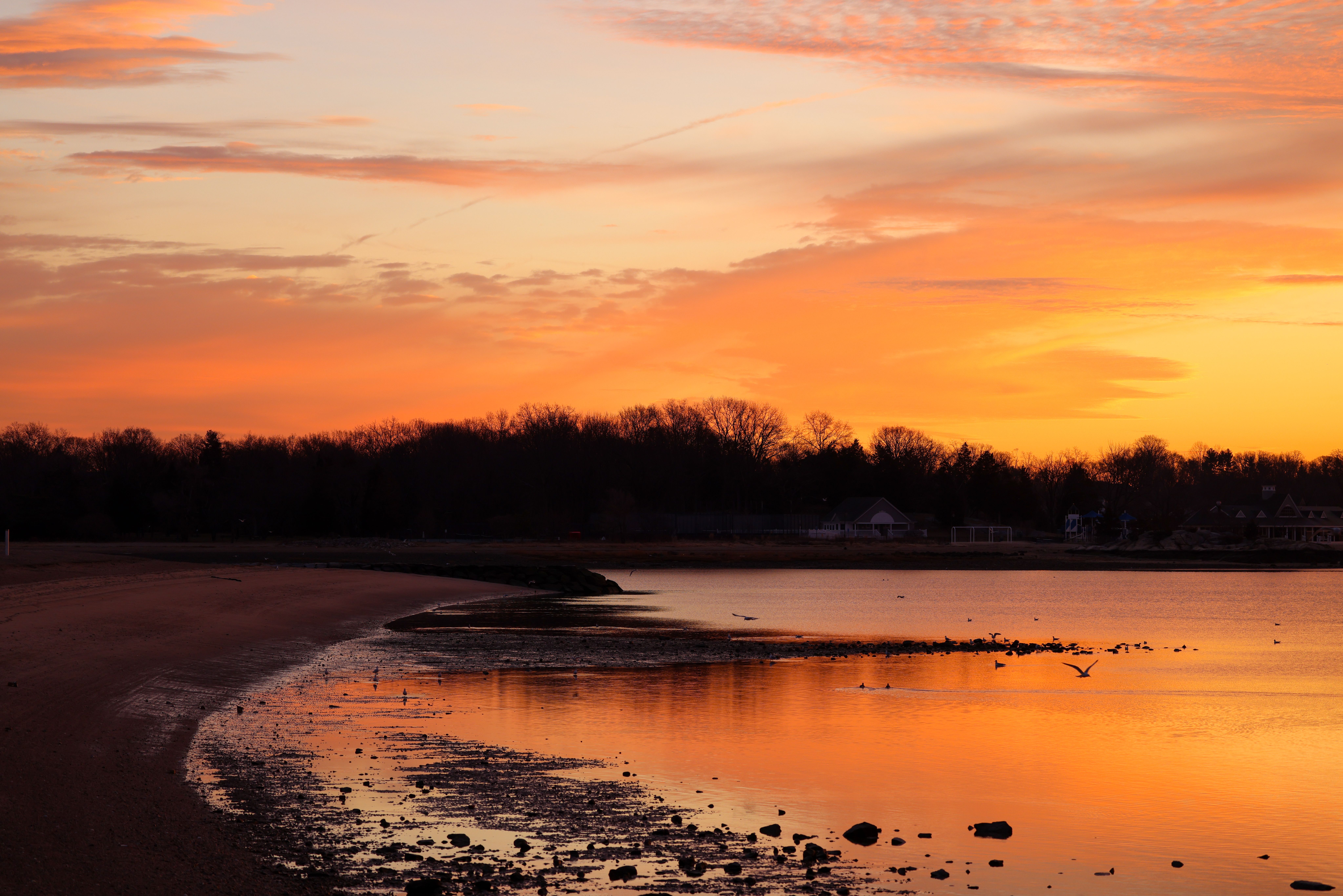 Lakeshore at Sunset · Free Stock Photo