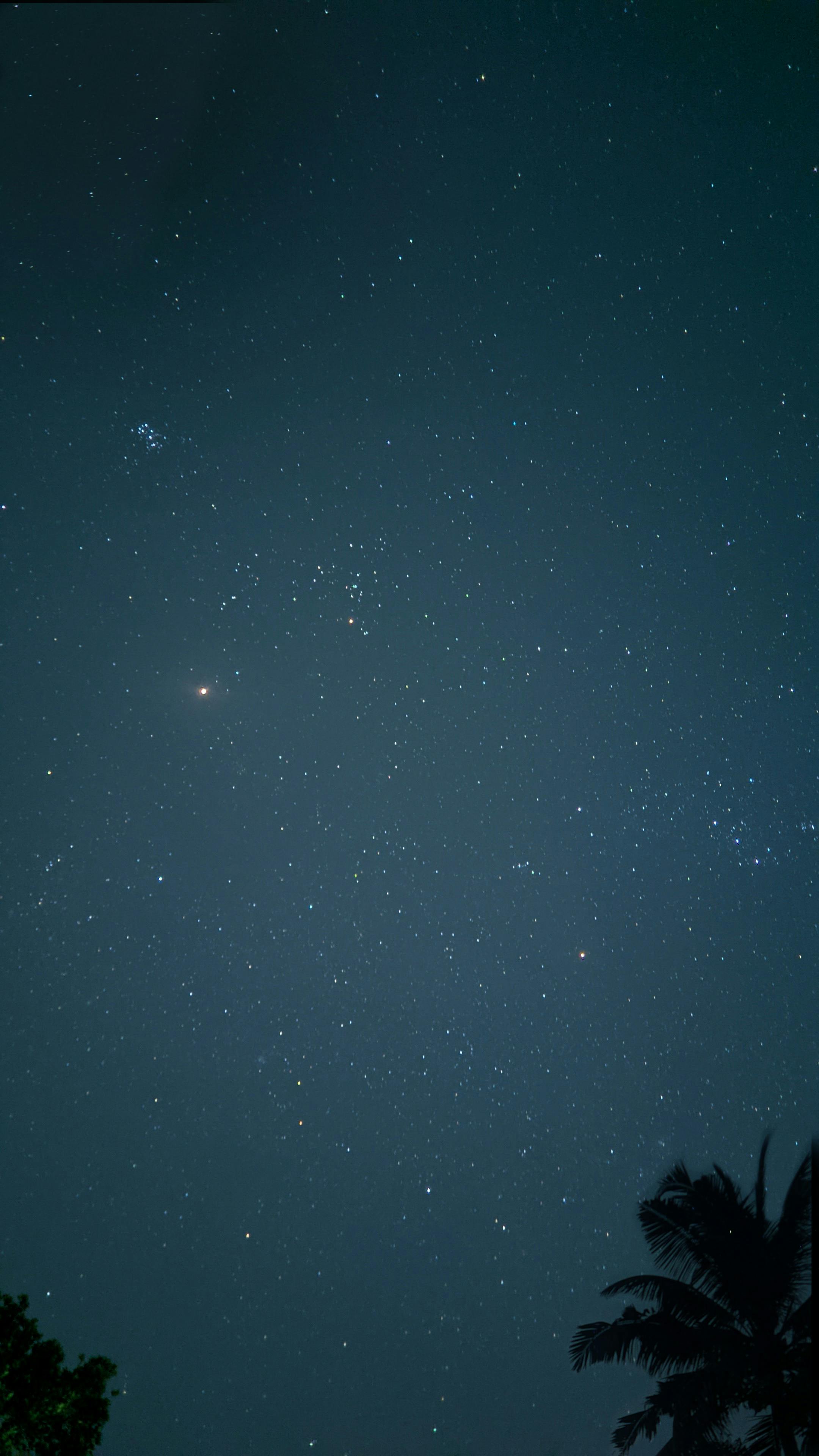 Night Stars Photos, Download The BEST Free Night Stars Stock Photos ...