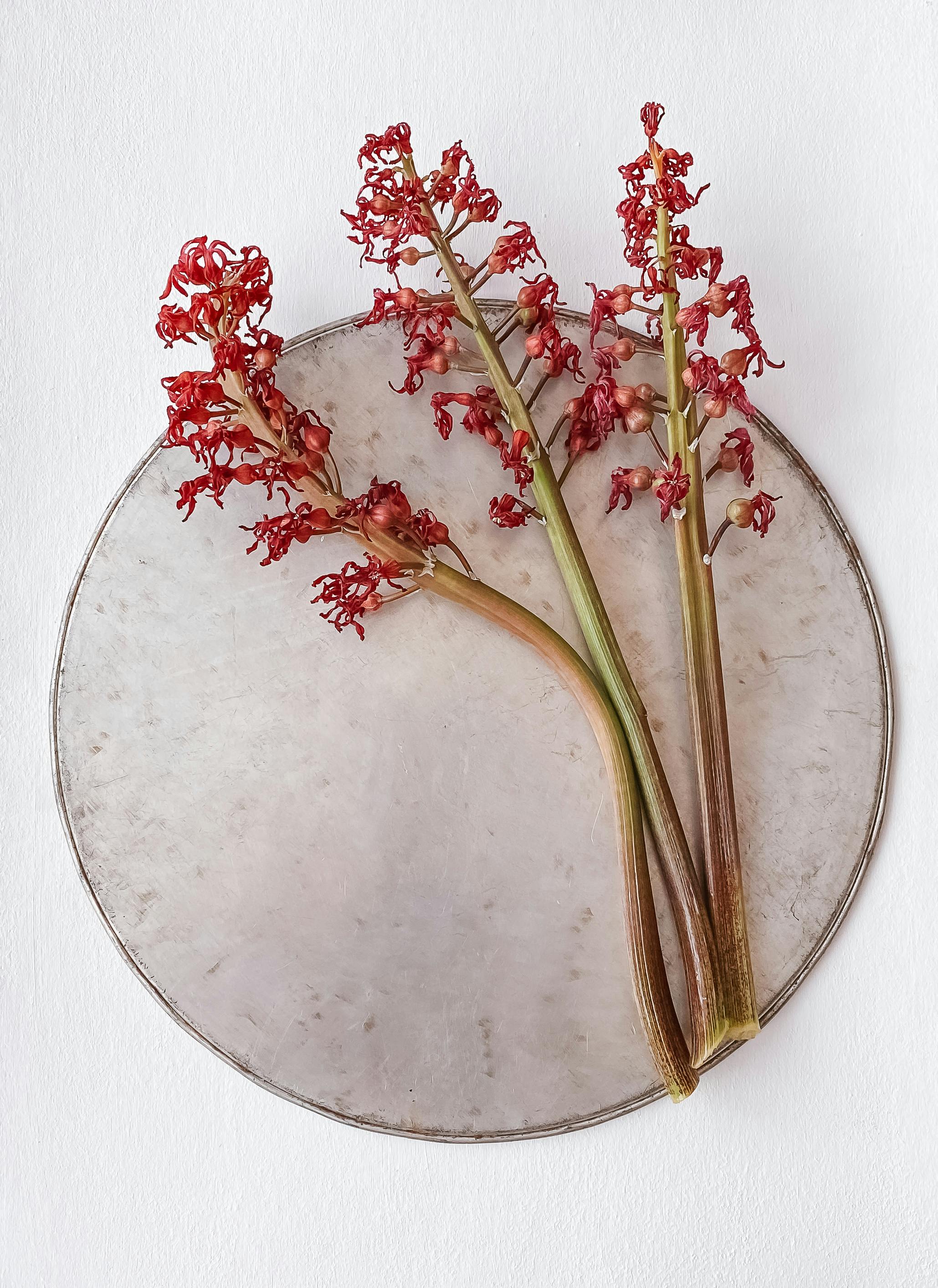 Cough Plate Photos, Download The BEST Free Cough Plate Stock Photos ...