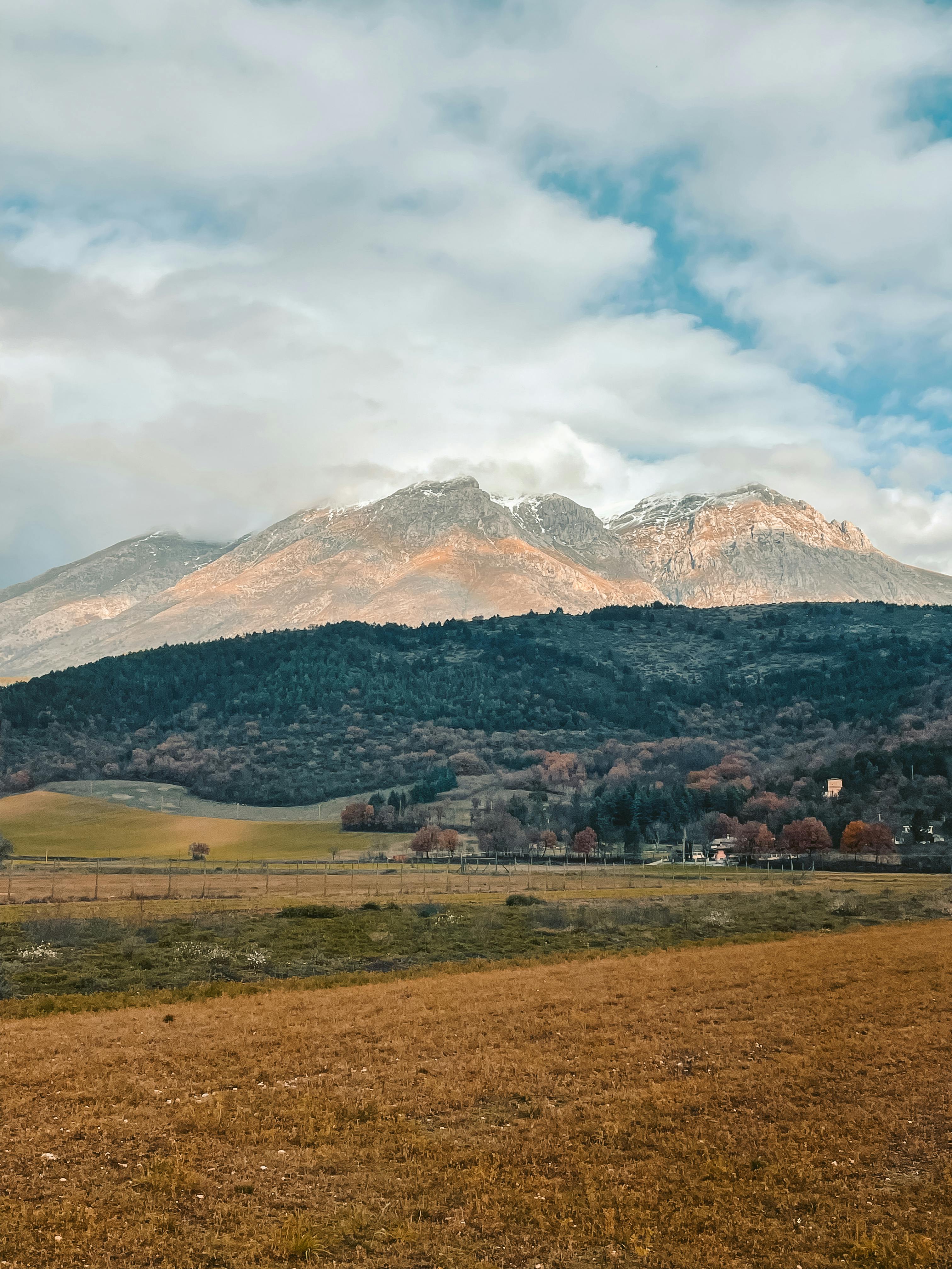 Foto profissional gratuita de abruzzo, agricultura, animais selvagens ...