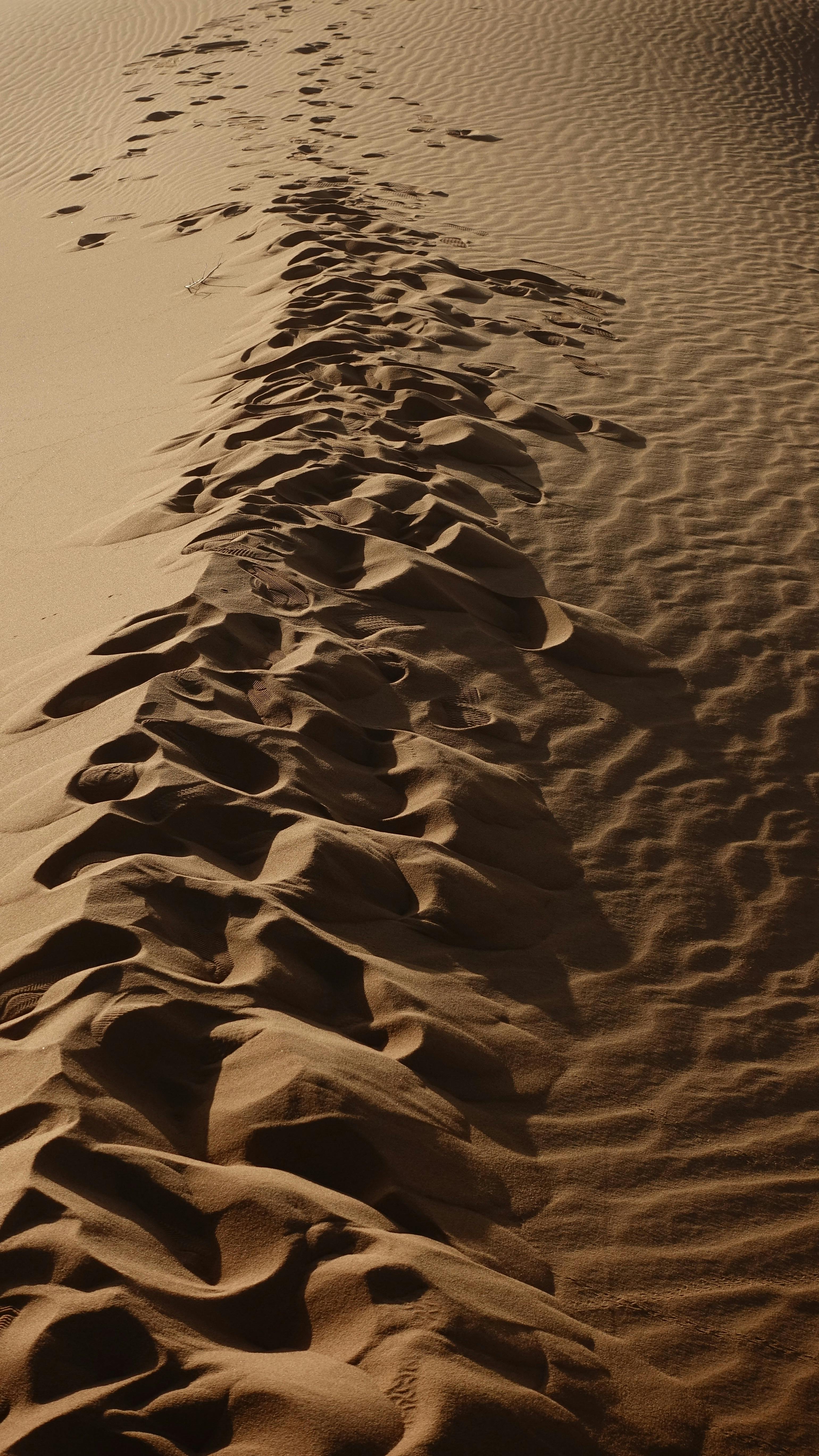 Top View of Desert · Free Stock Photo