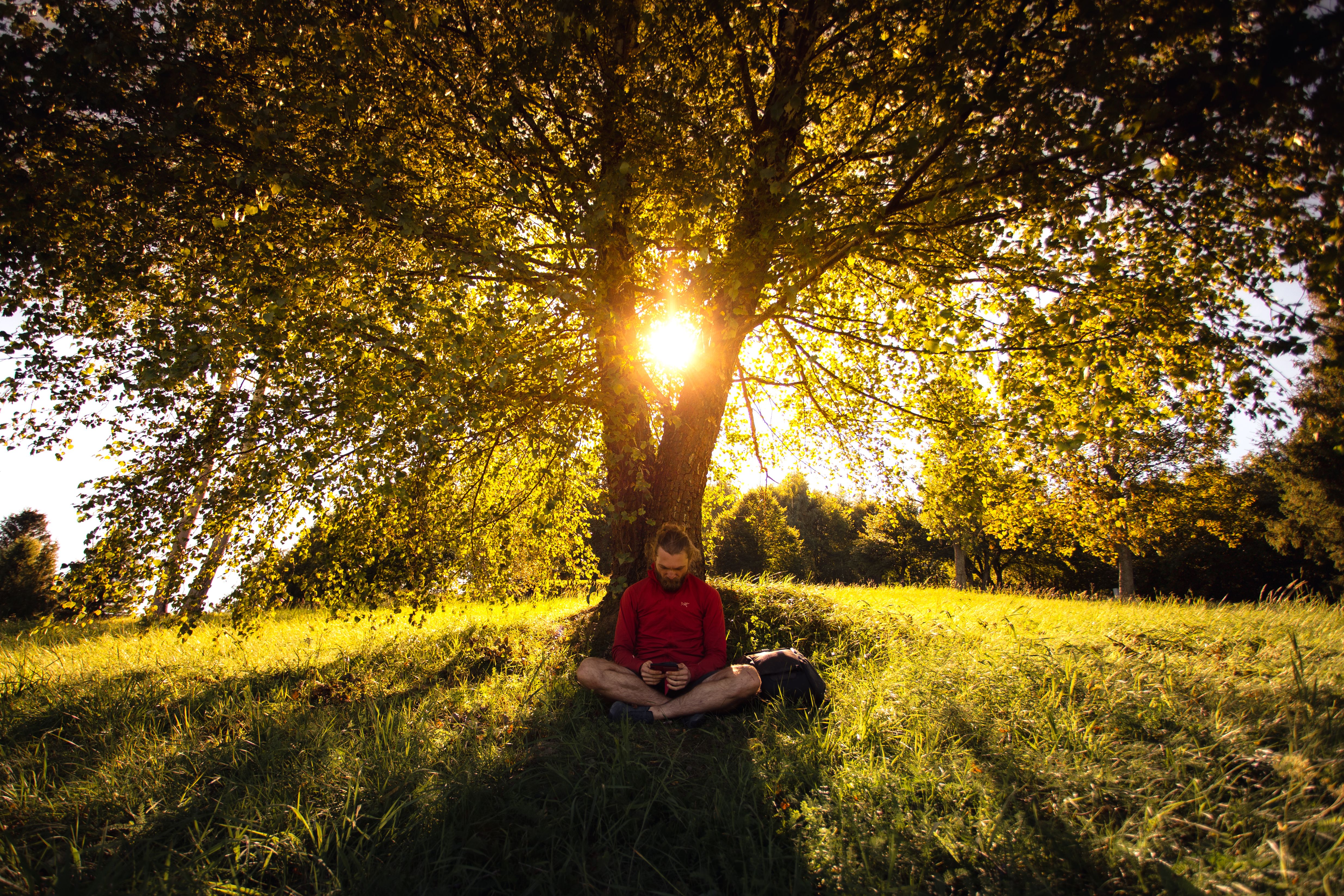 People Under Sunlight Photos, Download The BEST Free People Under ...