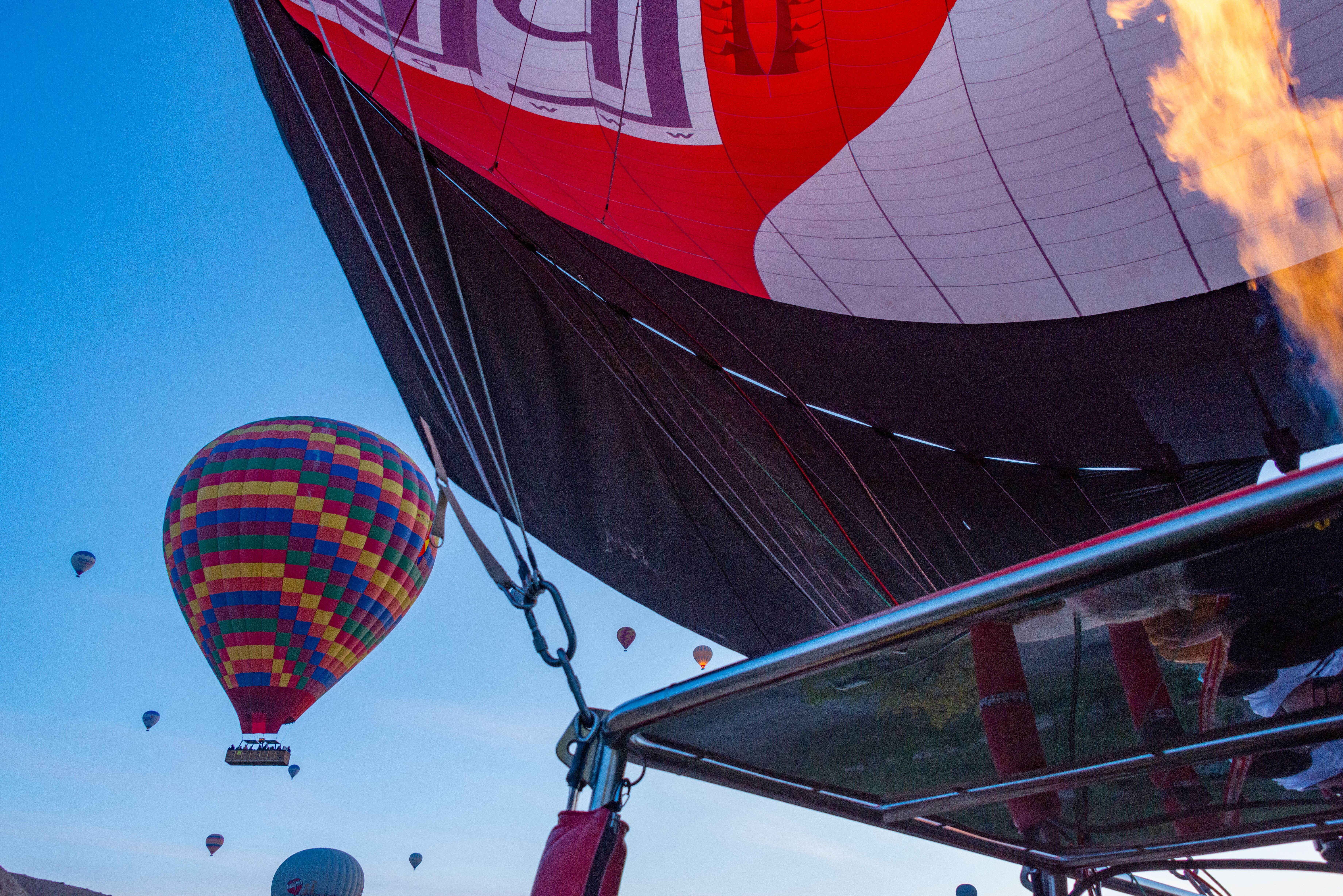 Close up of Flying Balloons · Free Stock Photo