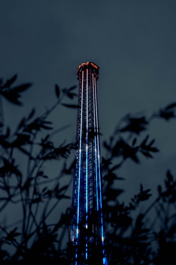 Star Flyer Photos, Download The BEST Free Star Flyer Stock Photos & HD ...