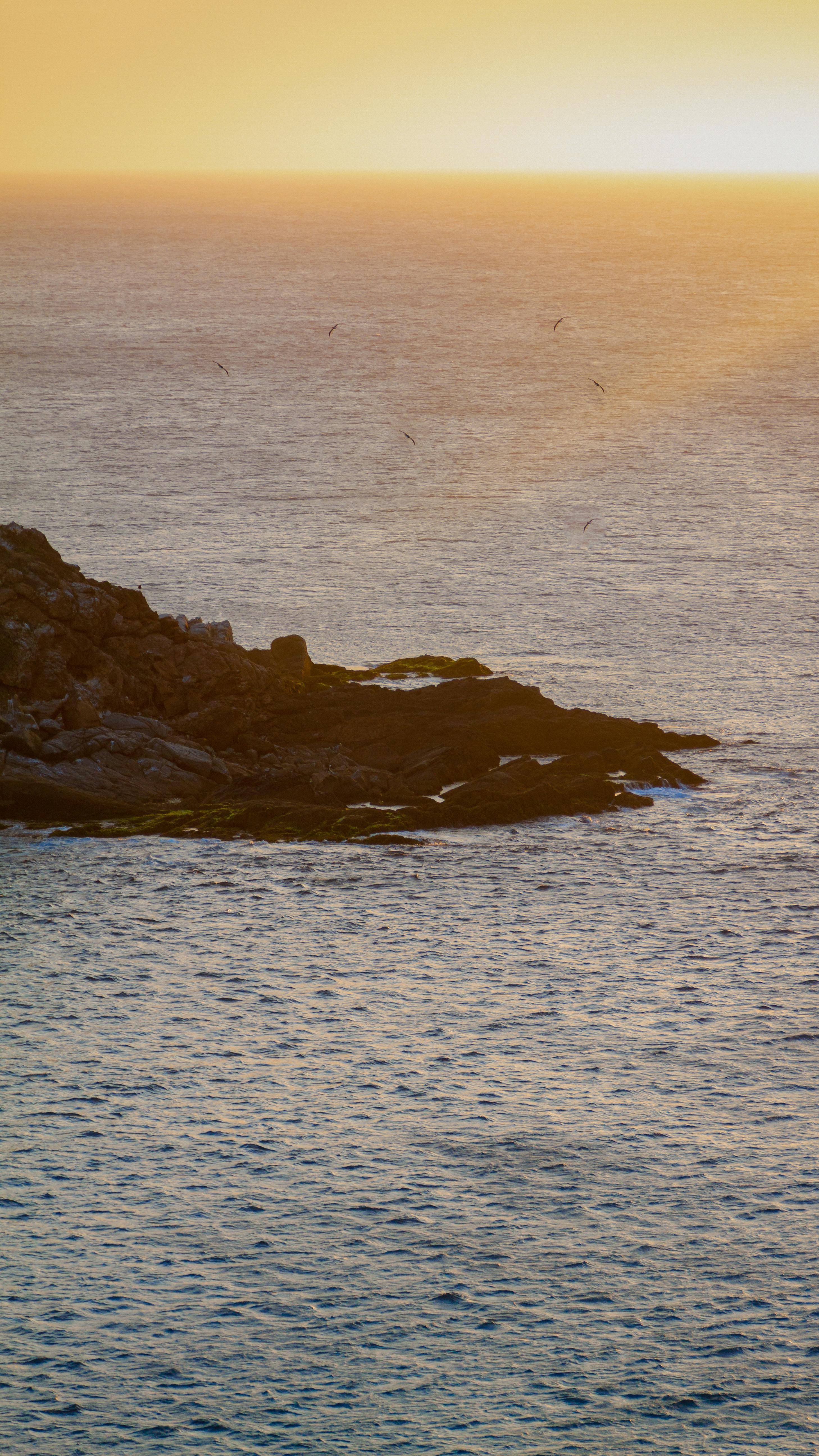 Ocean Management Photos, Download The BEST Free Ocean Management Stock ...