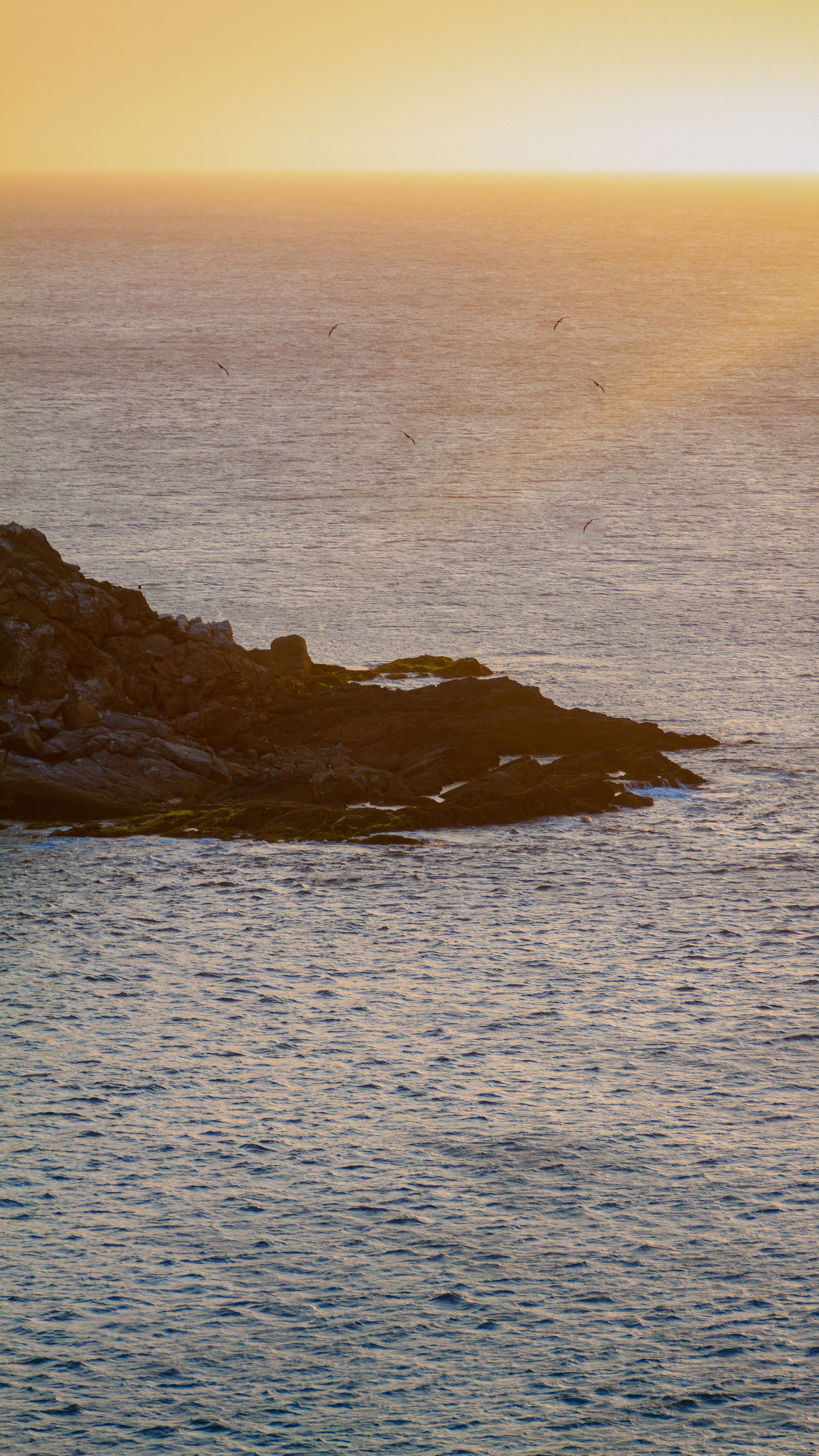 A Seascape at Sunset · Free Stock Photo