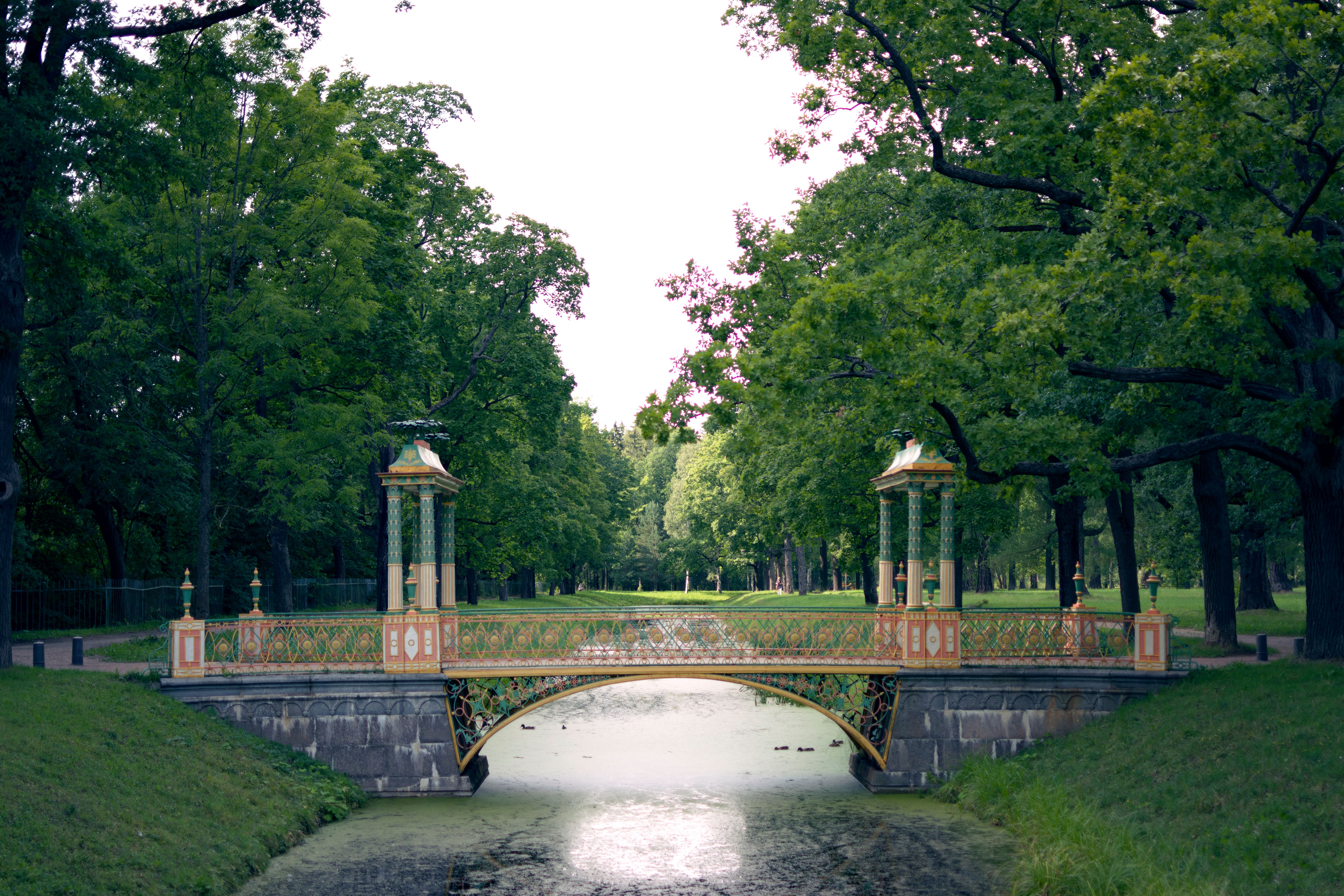 Photo of a Bridge in a Park · Free Stock Photo