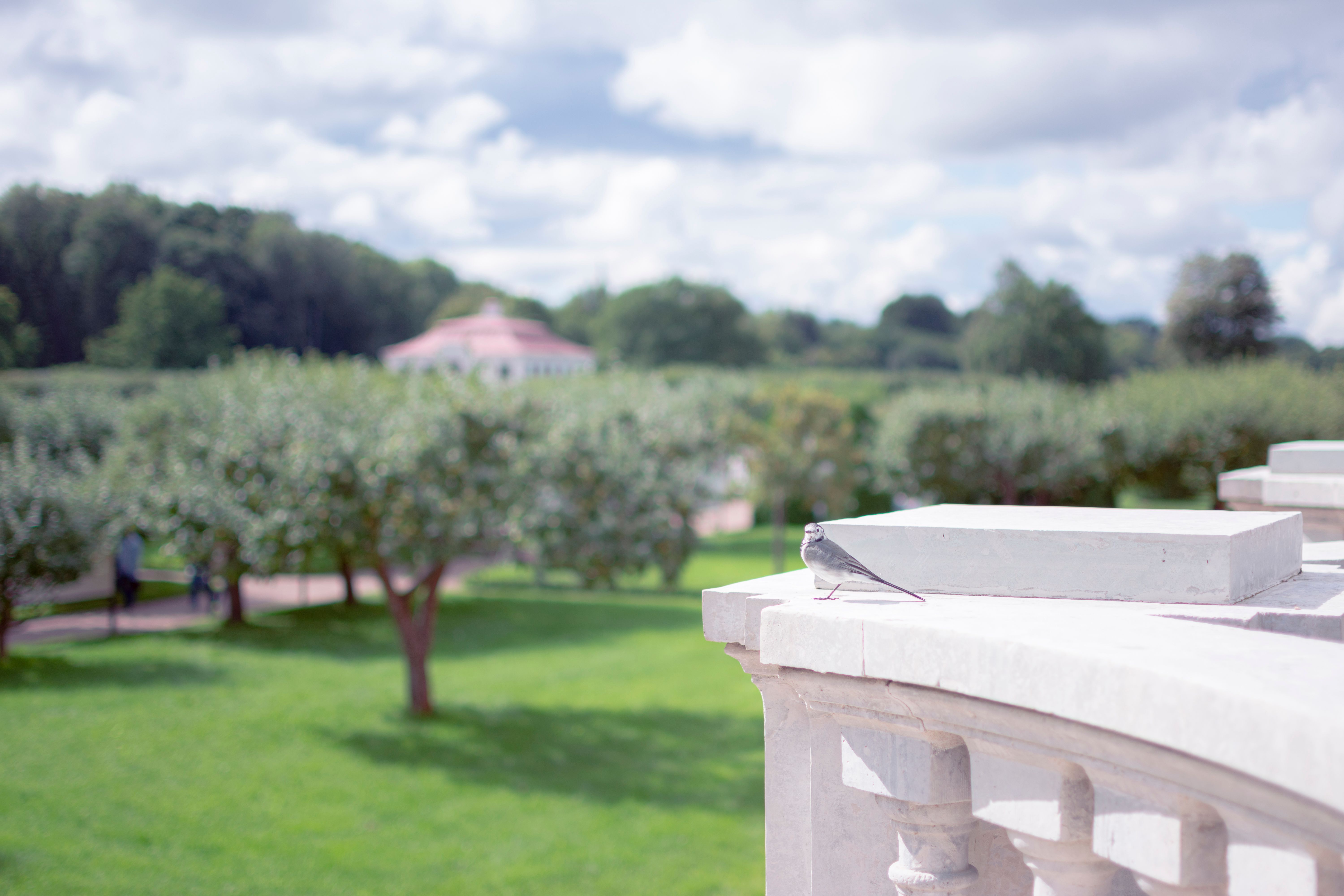 Stone Balustrade against an Apple Orchard · Free Stock Photo