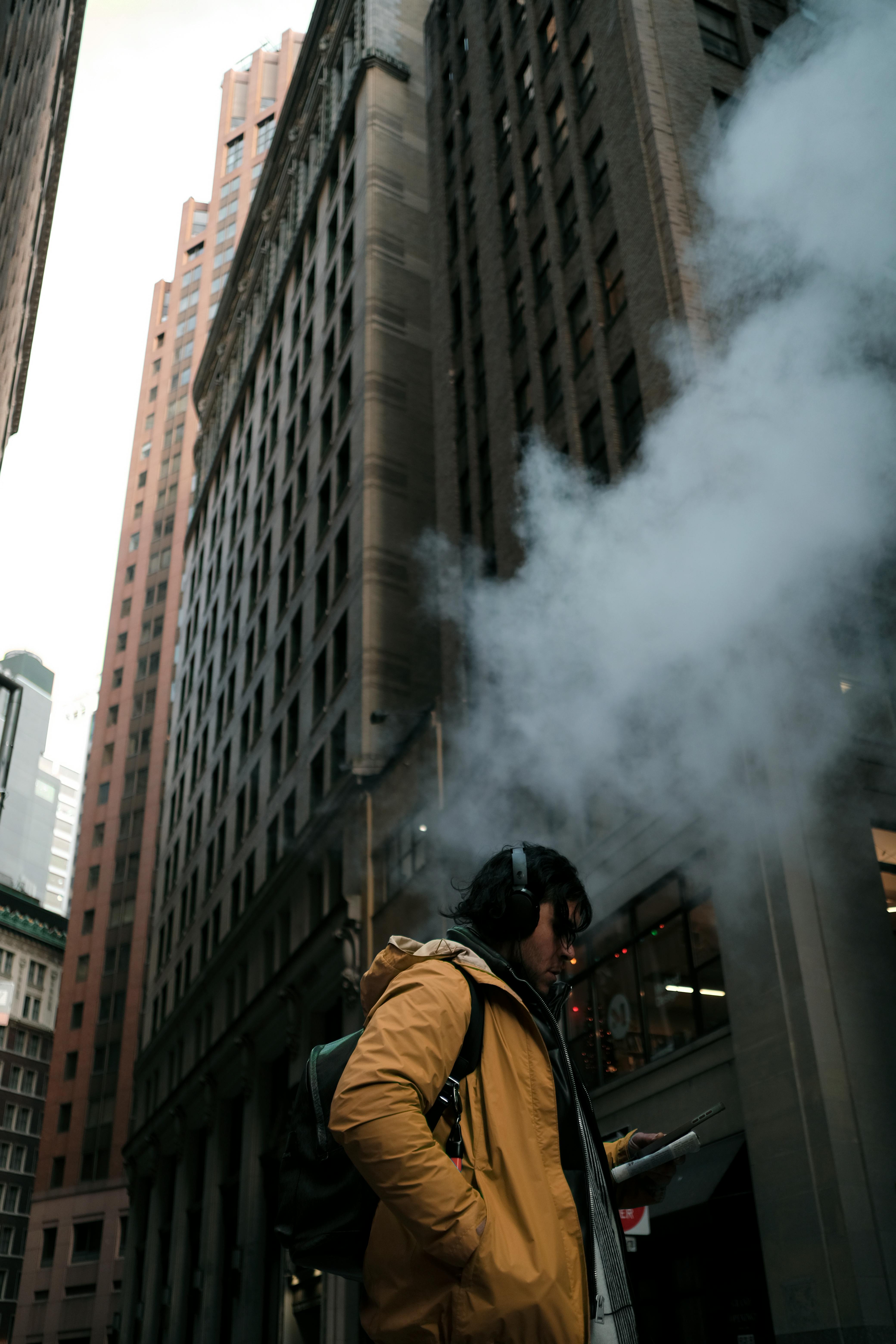 The Bronx Photos, Download The BEST Free The Bronx Stock Photos & HD Images