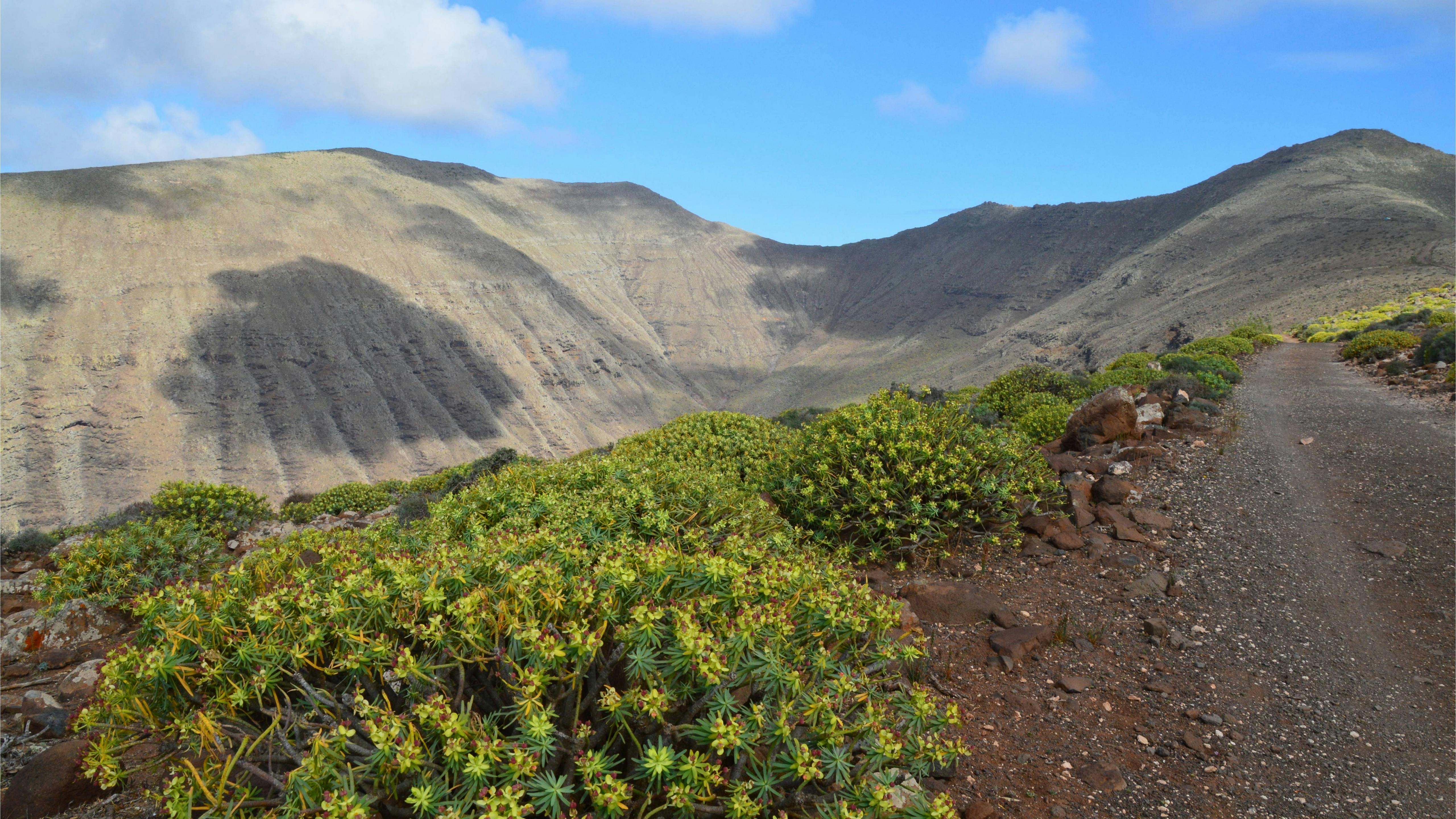 Finke Photos, Download The BEST Free Finke Stock Photos & HD Images