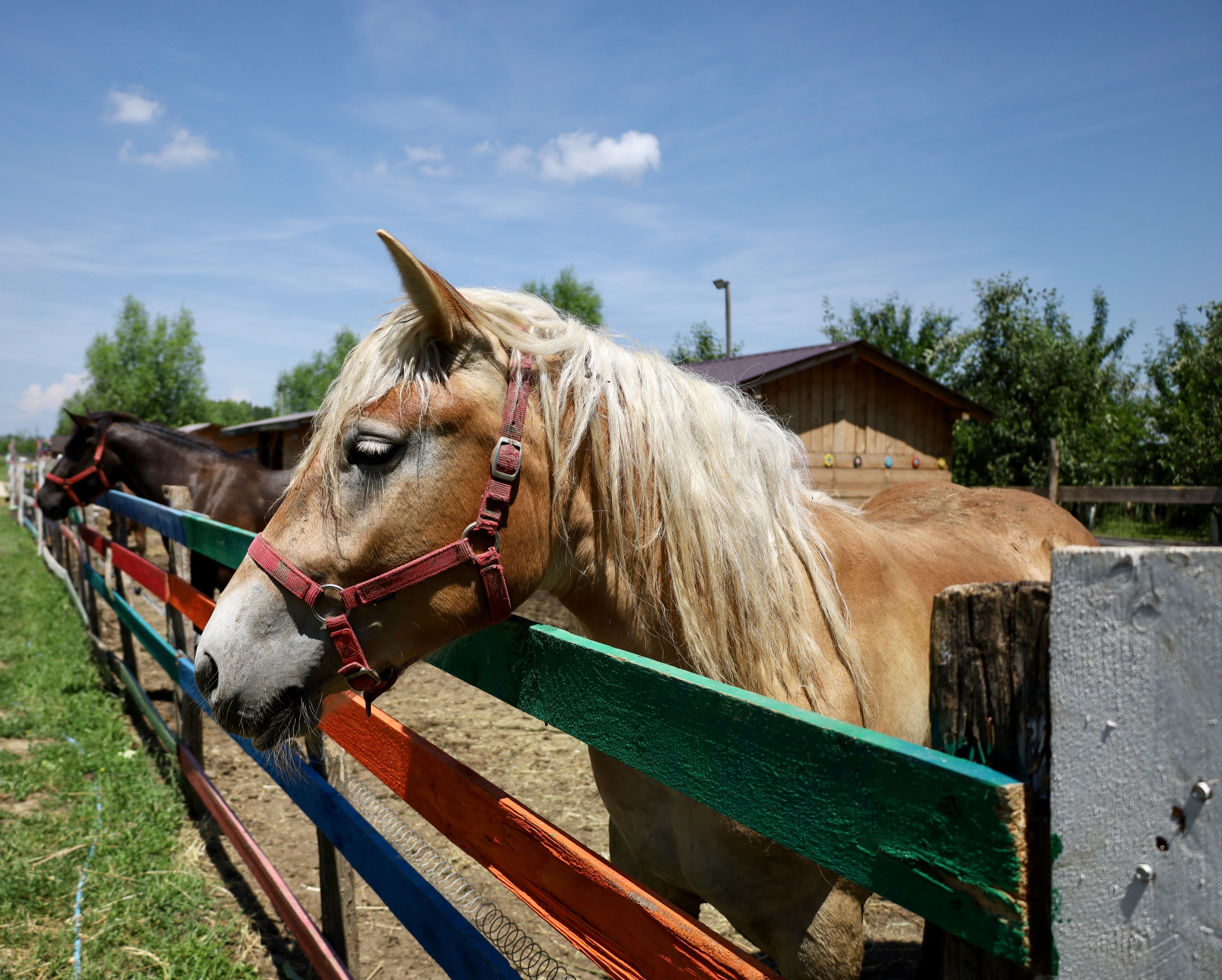 Tapioca Farm Photos, Download The BEST Free Tapioca Farm Stock Photos ...