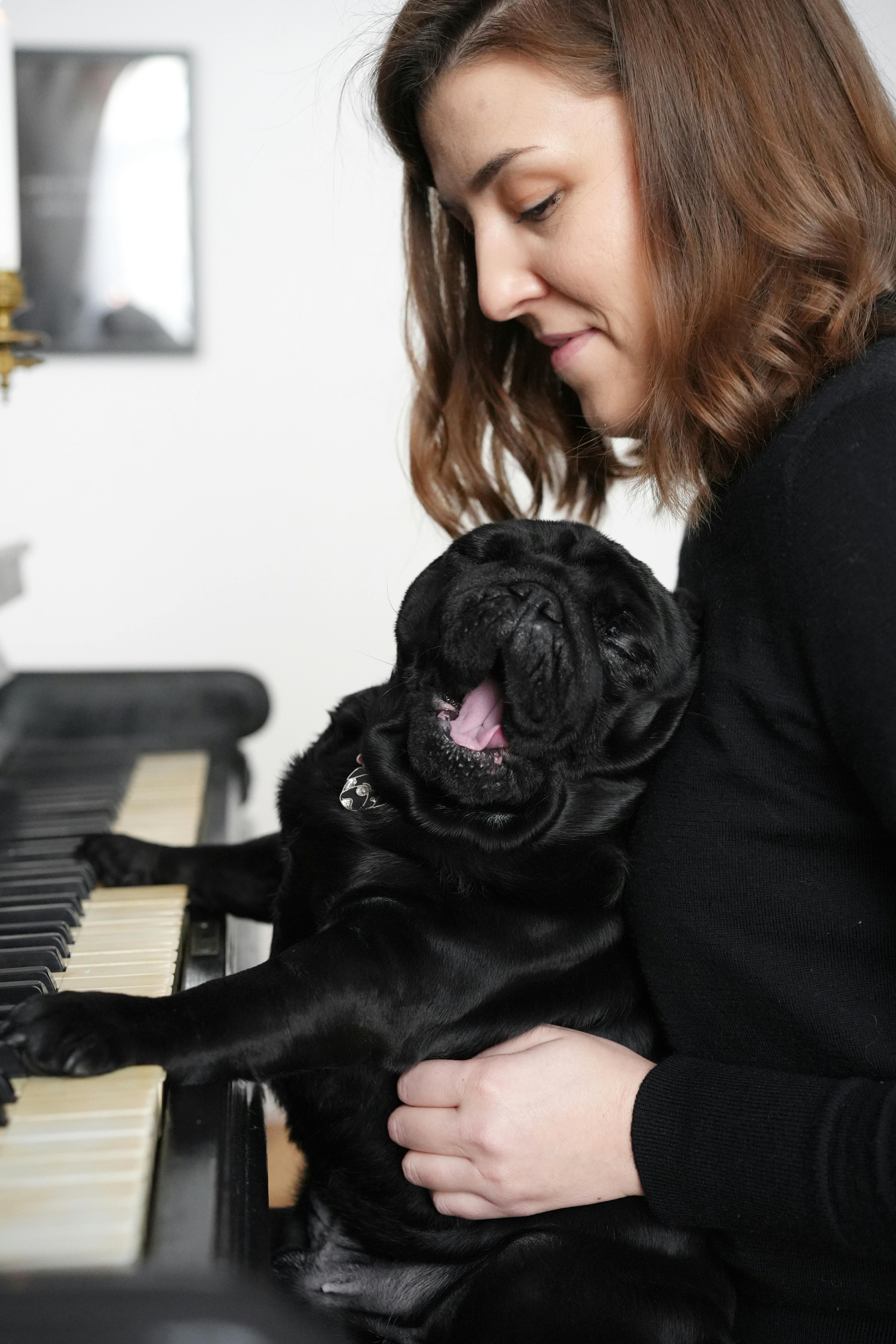 Dog Playing Piano Photos, Download The BEST Free Dog Playing Piano ...