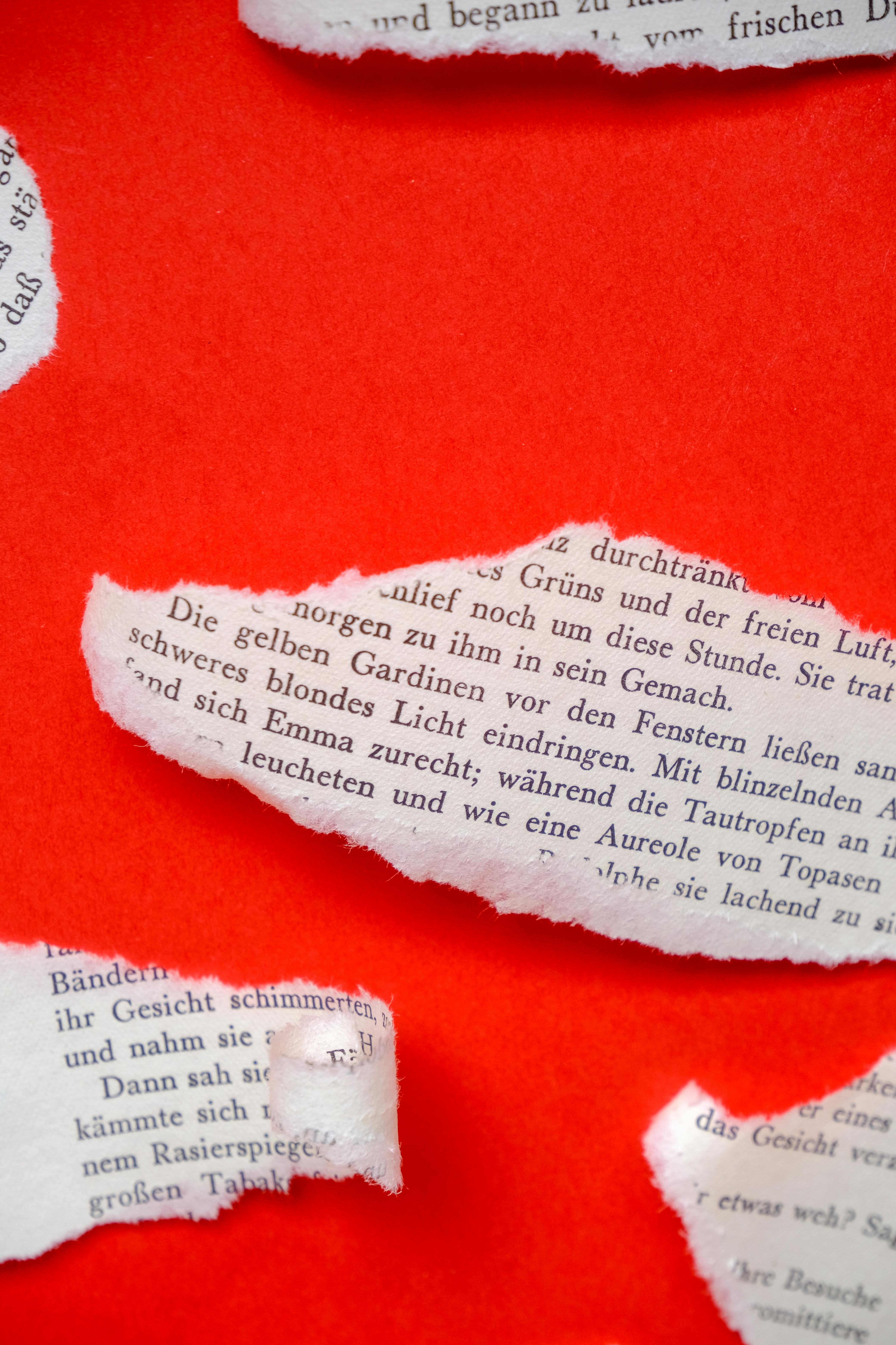 Government Id Card Photos, Download The BEST Free Government Id Card ...