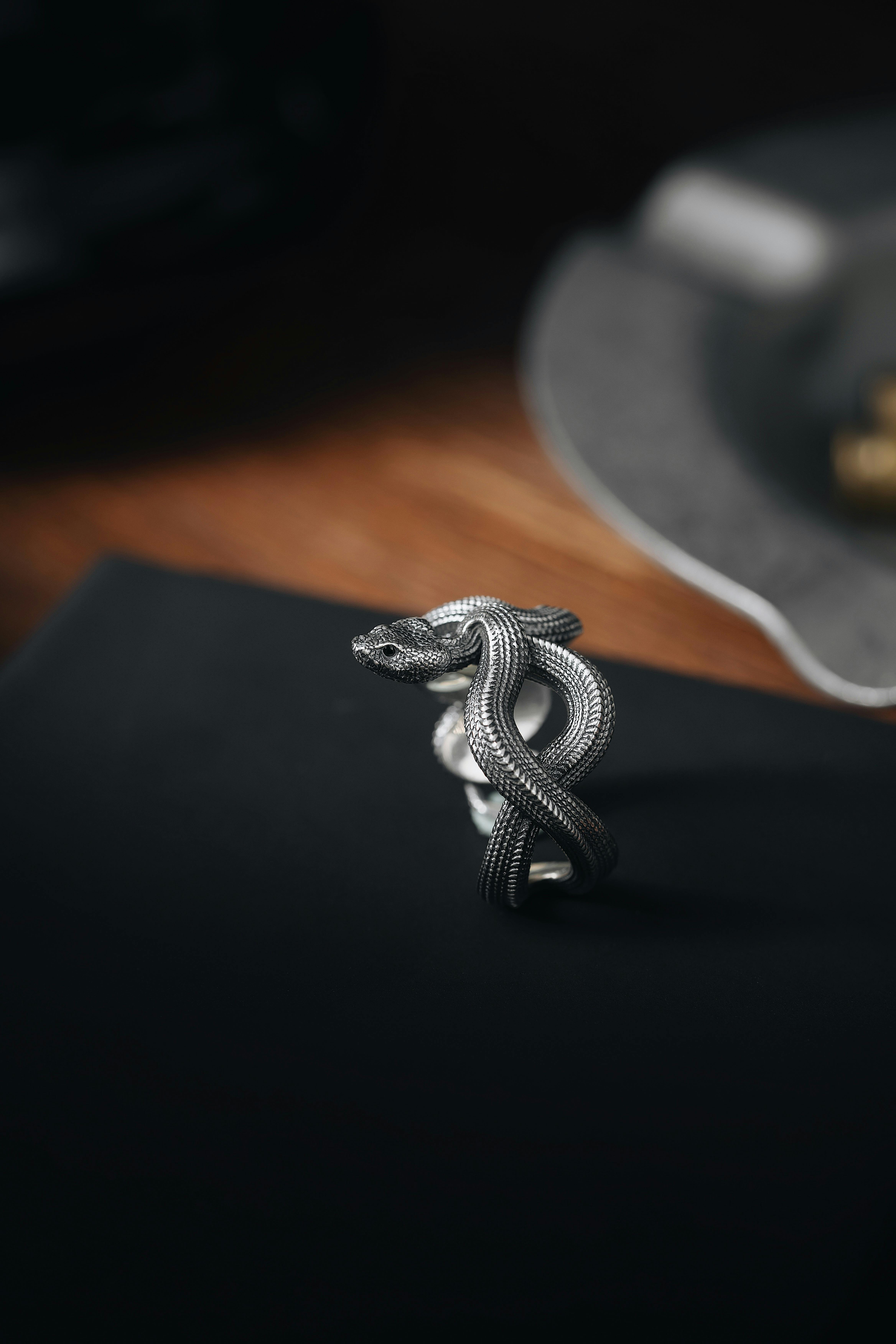 Photo of a Snake Ring · Free Stock Photo