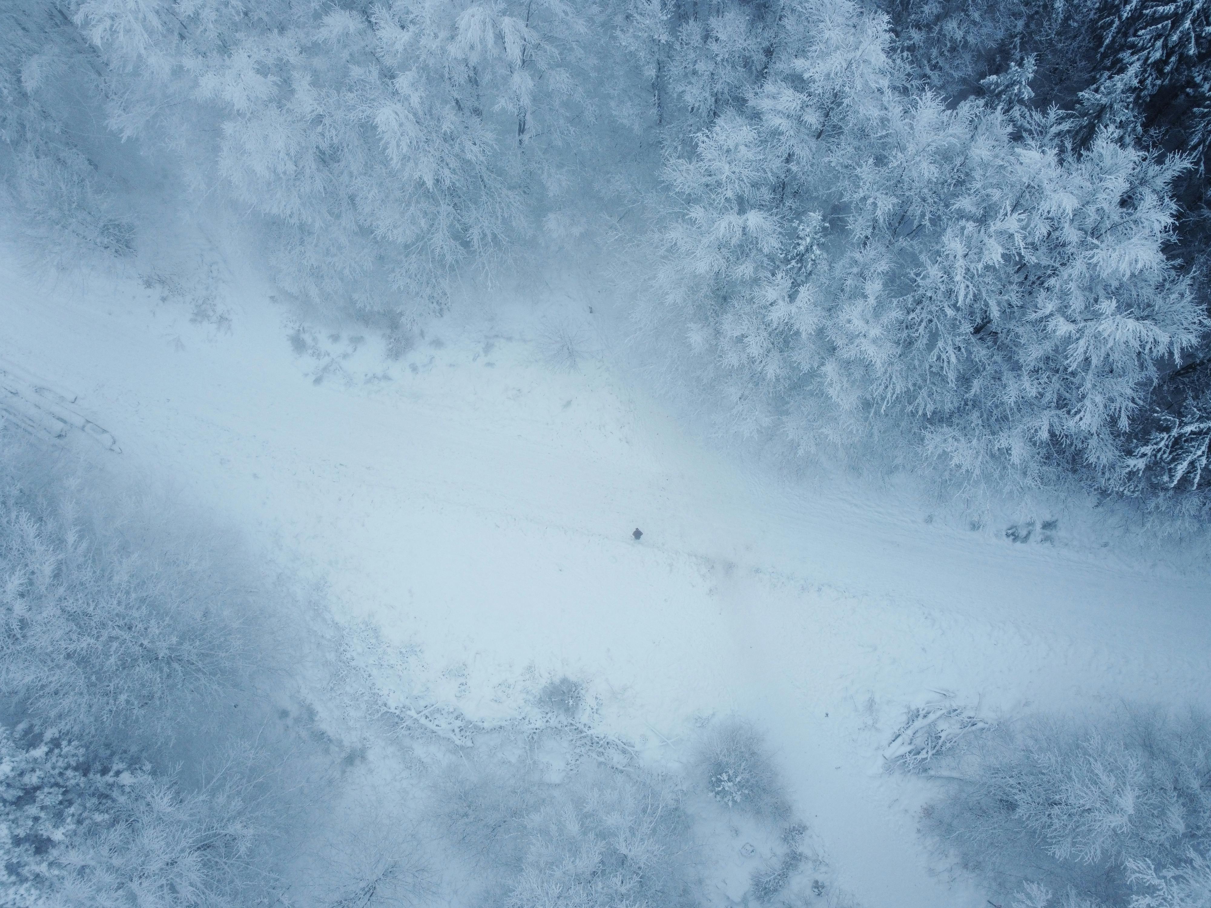 Winter Snowed Road in the Forest · Free Stock Photo
