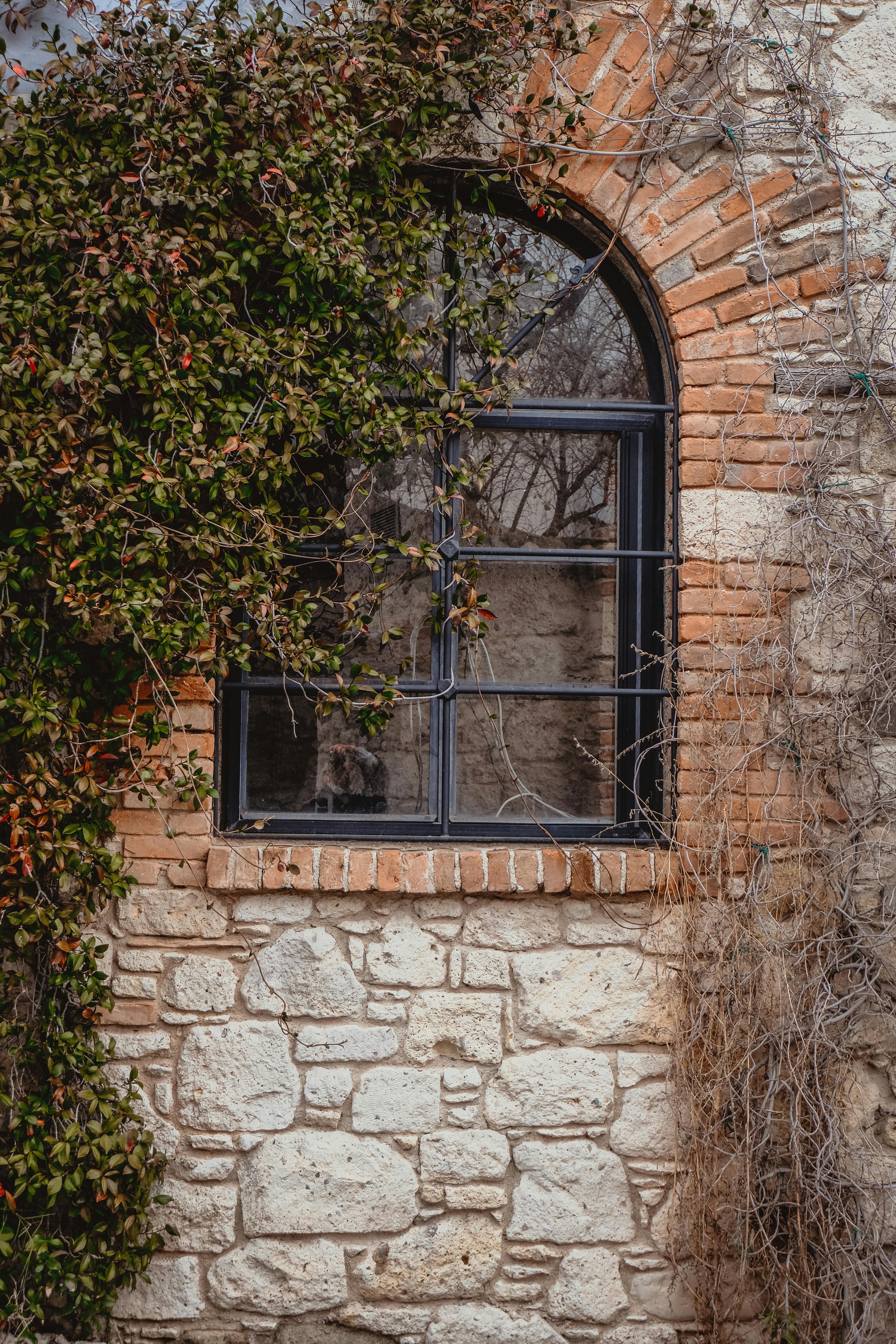 Black Metal Frame Glass Window · Free Stock Photo