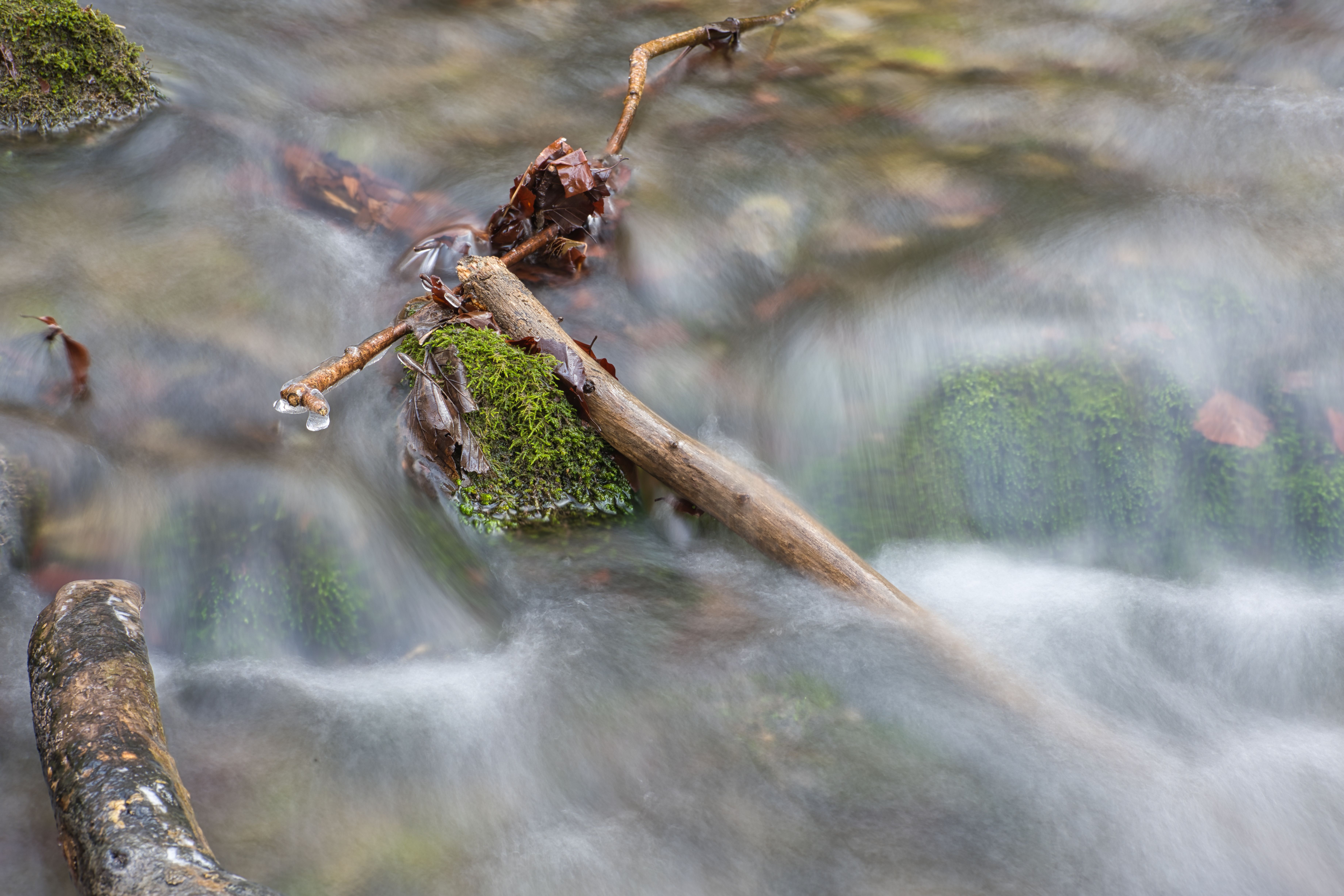 A Stick in a Stream · Free Stock Photo