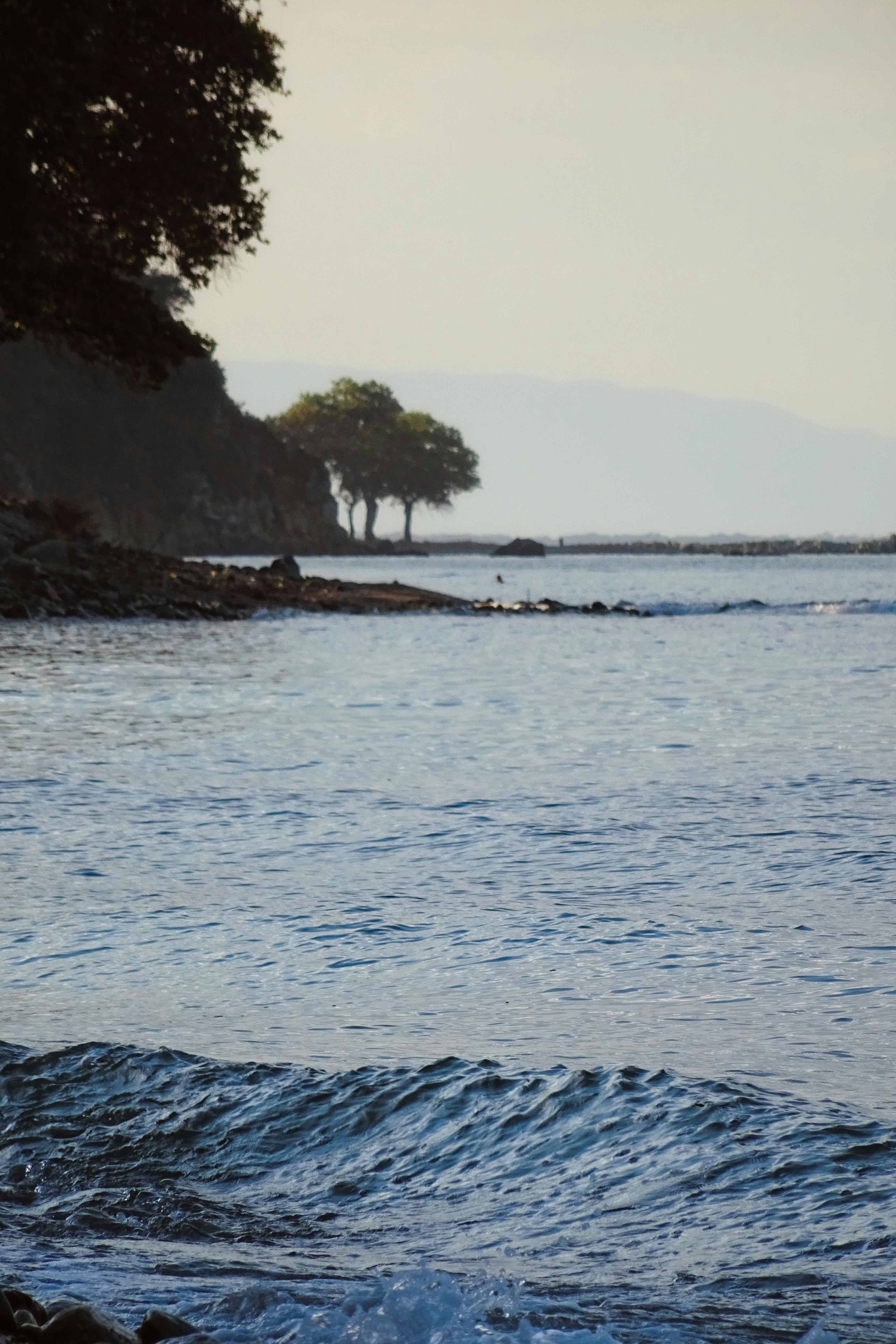 Wave on Shore · Free Stock Photo