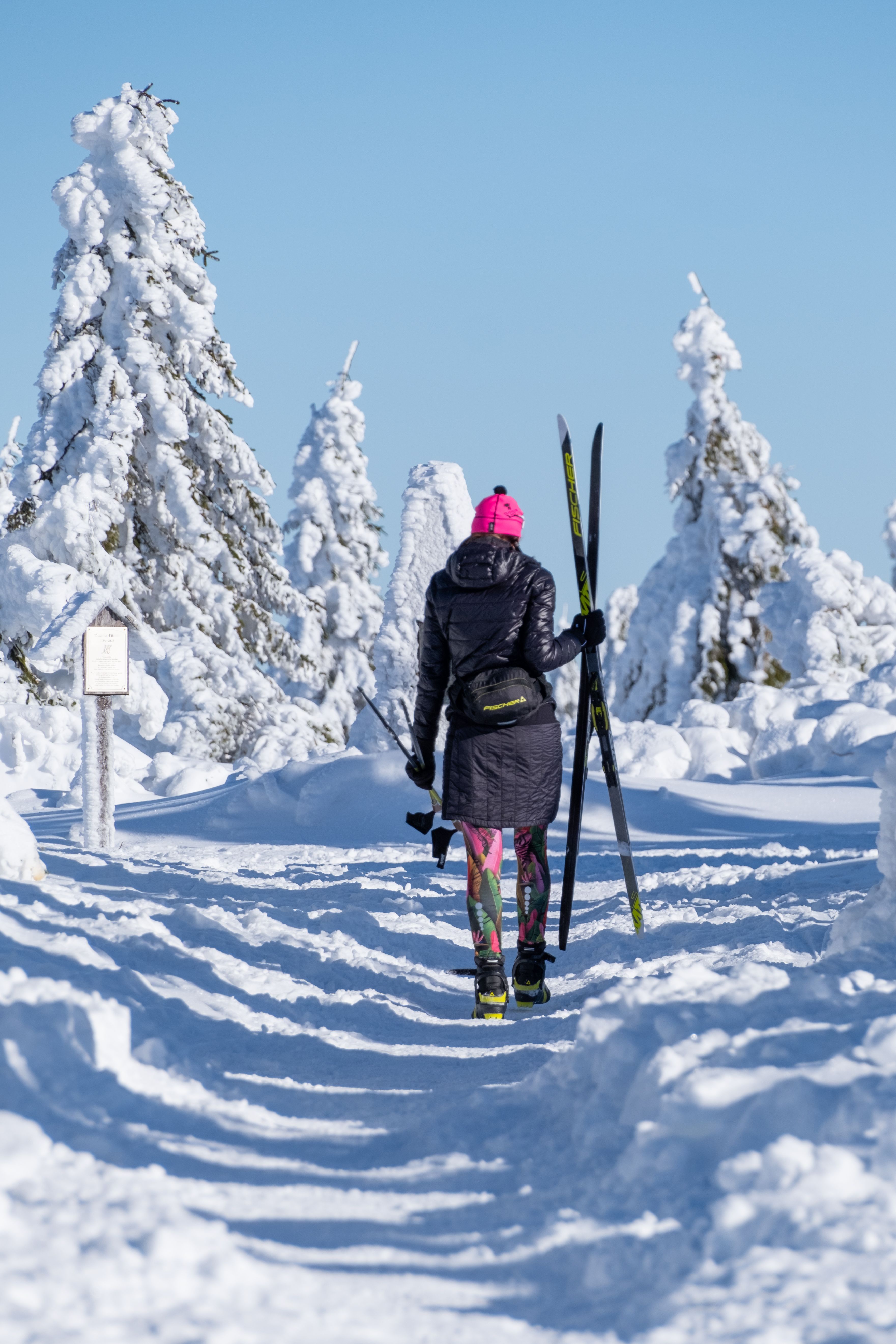 Blue Skis Photos, Download The BEST Free Blue Skis Stock Photos & HD Images