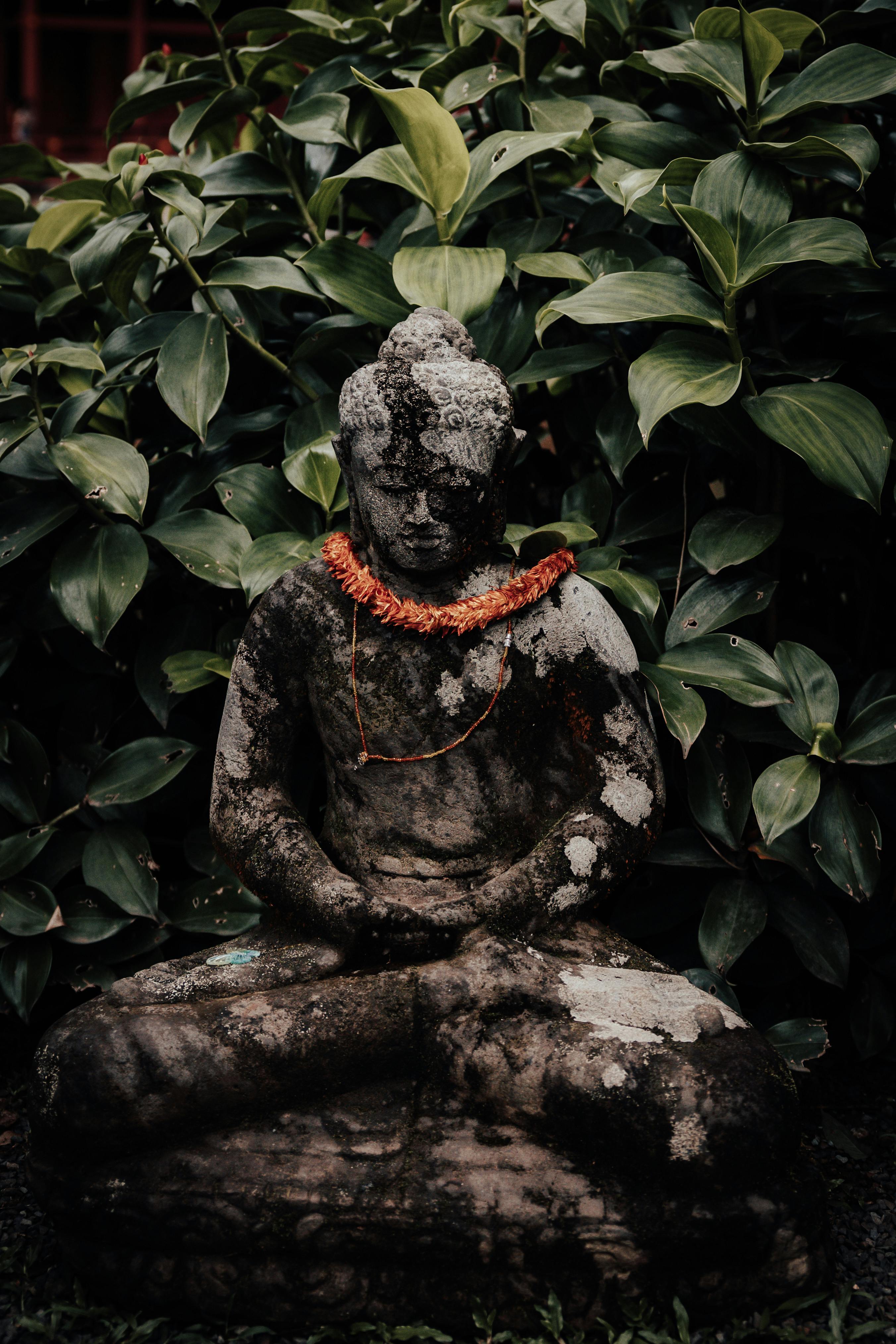 Peaceful Buddha statue amidst lush greenery outdoors · Free Stock Photo