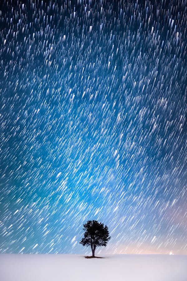 Night Time Skylines Photos, Download The BEST Free Night Time Skylines ...