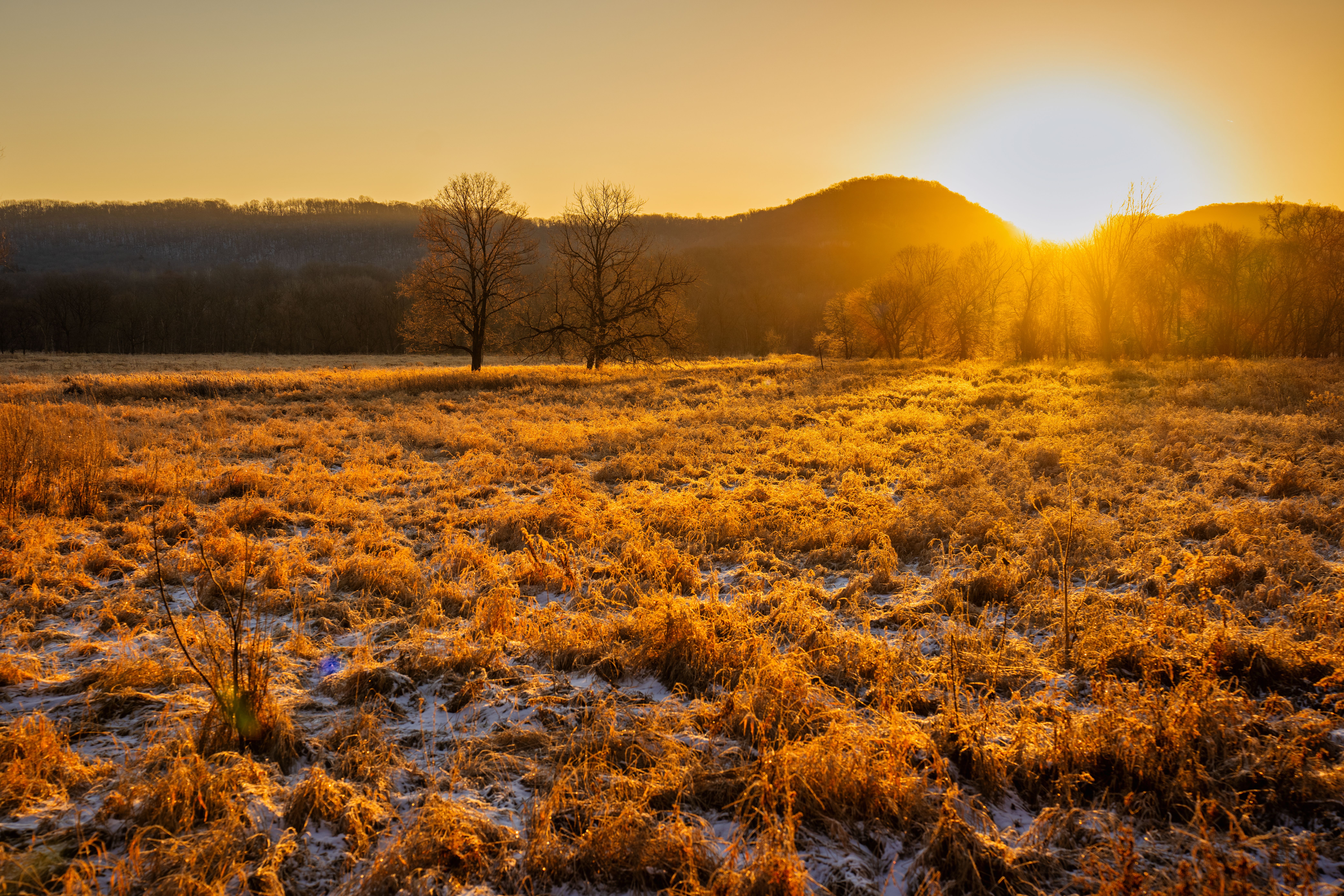 A Frosty Field at Sunset · Free Stock Photo