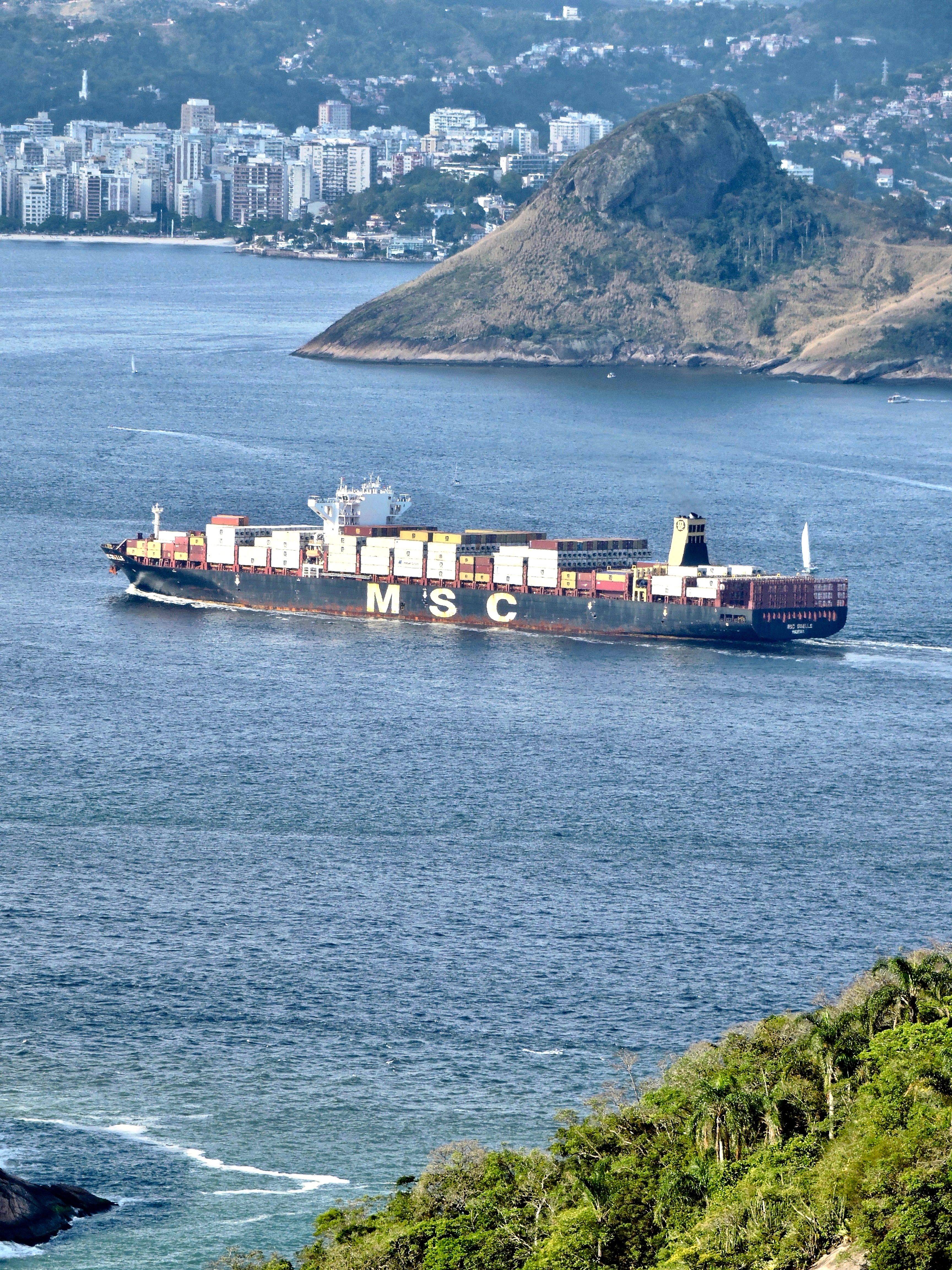 Container Ship Msc Photos, Download The BEST Free Container Ship Msc ...