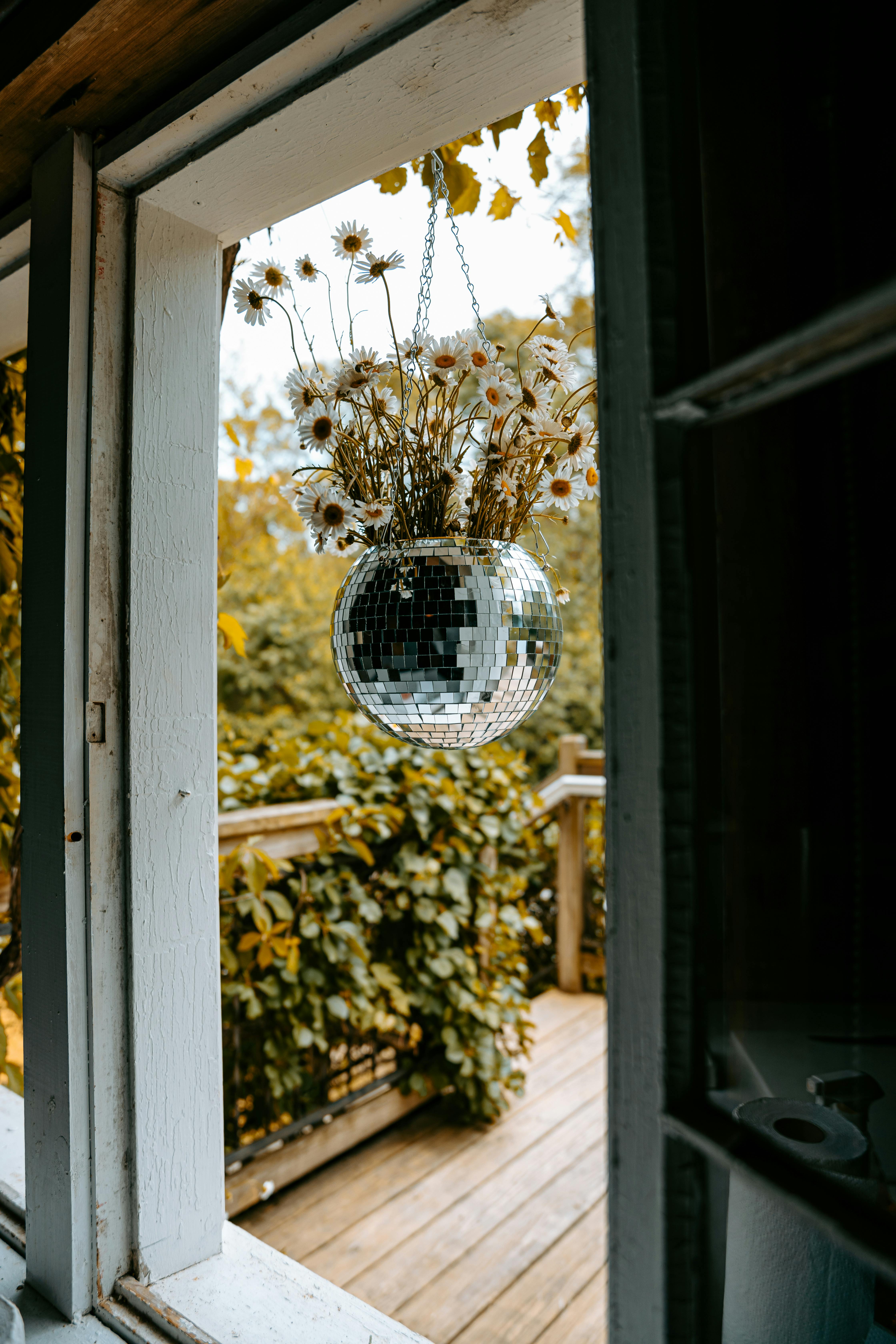 Flowers Growing in Disco Ball on House Terrace · Free Stock Photo