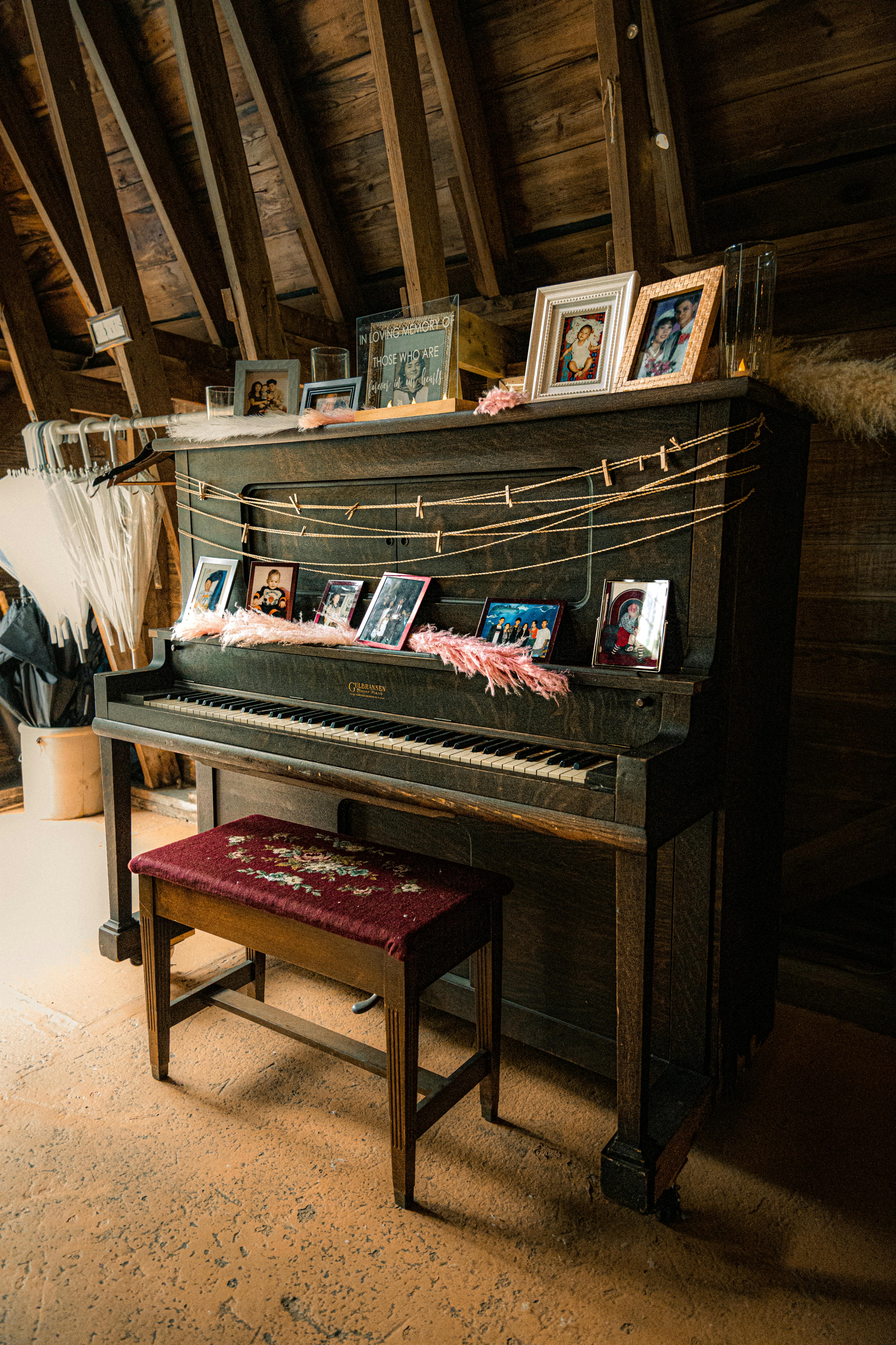 10.000+ Wacky Pictures Bilder und Fotos · Kostenlos Downloaden · Pexels ...