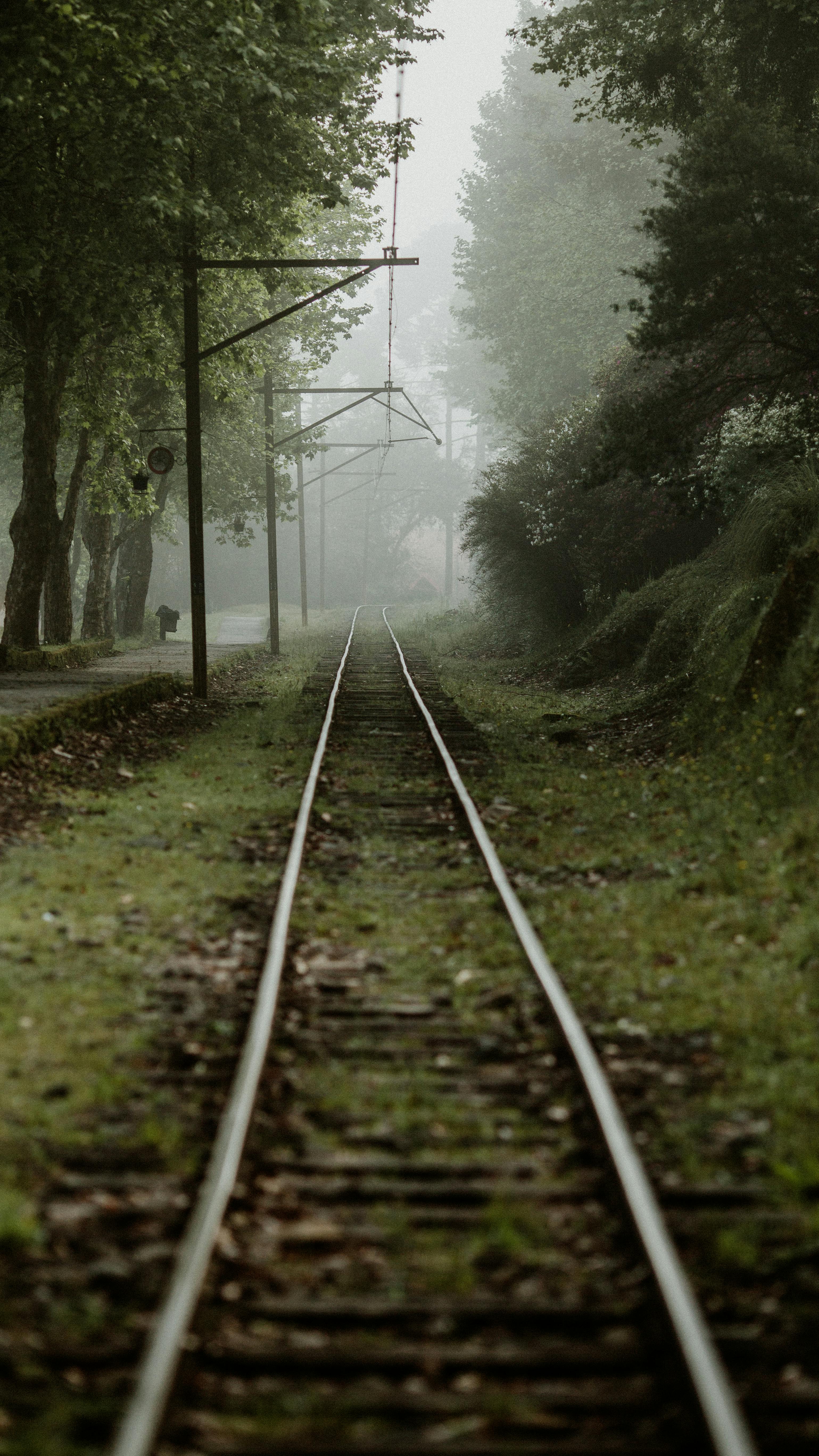 Free stock photo of cold, fog, mist
