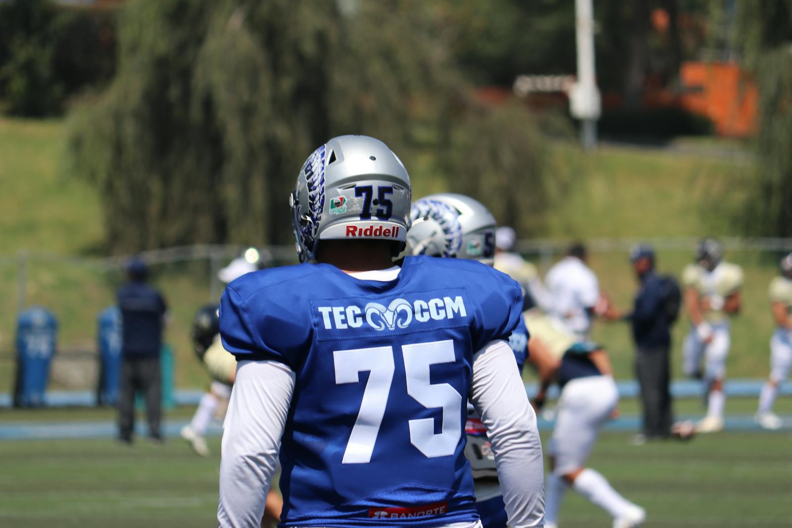 College Football Photos, Download The BEST Free College Football Stock ...