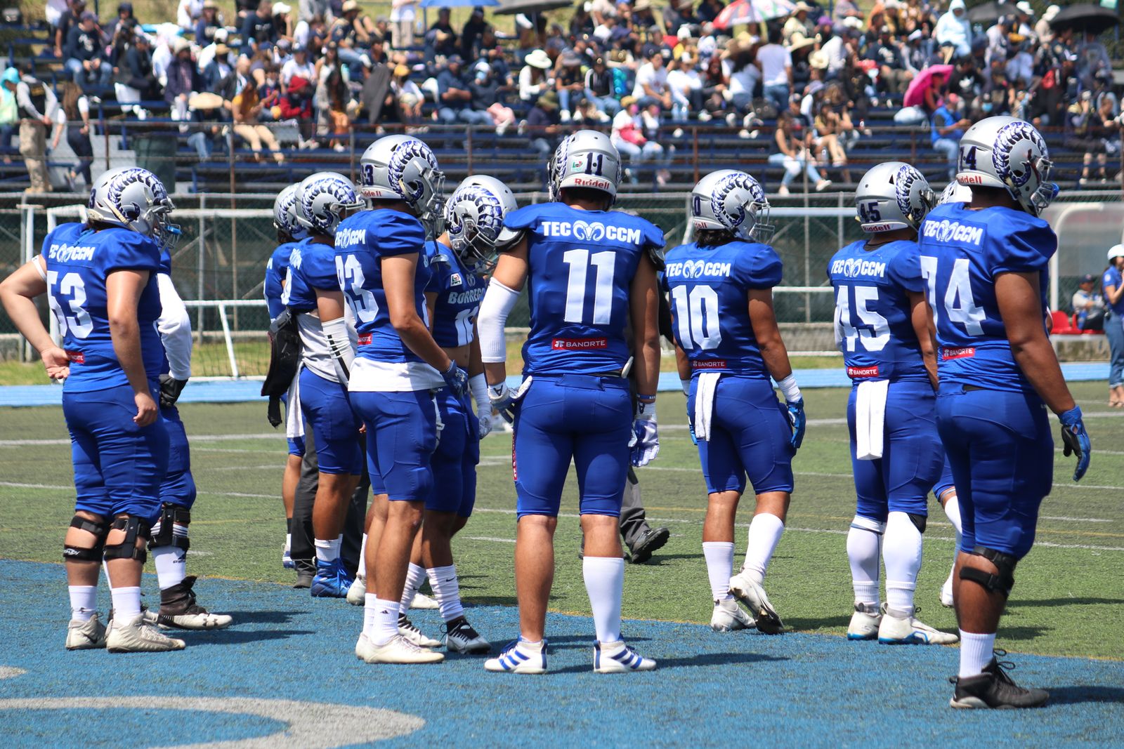 College Football Photos, Download The BEST Free College Football Stock ...
