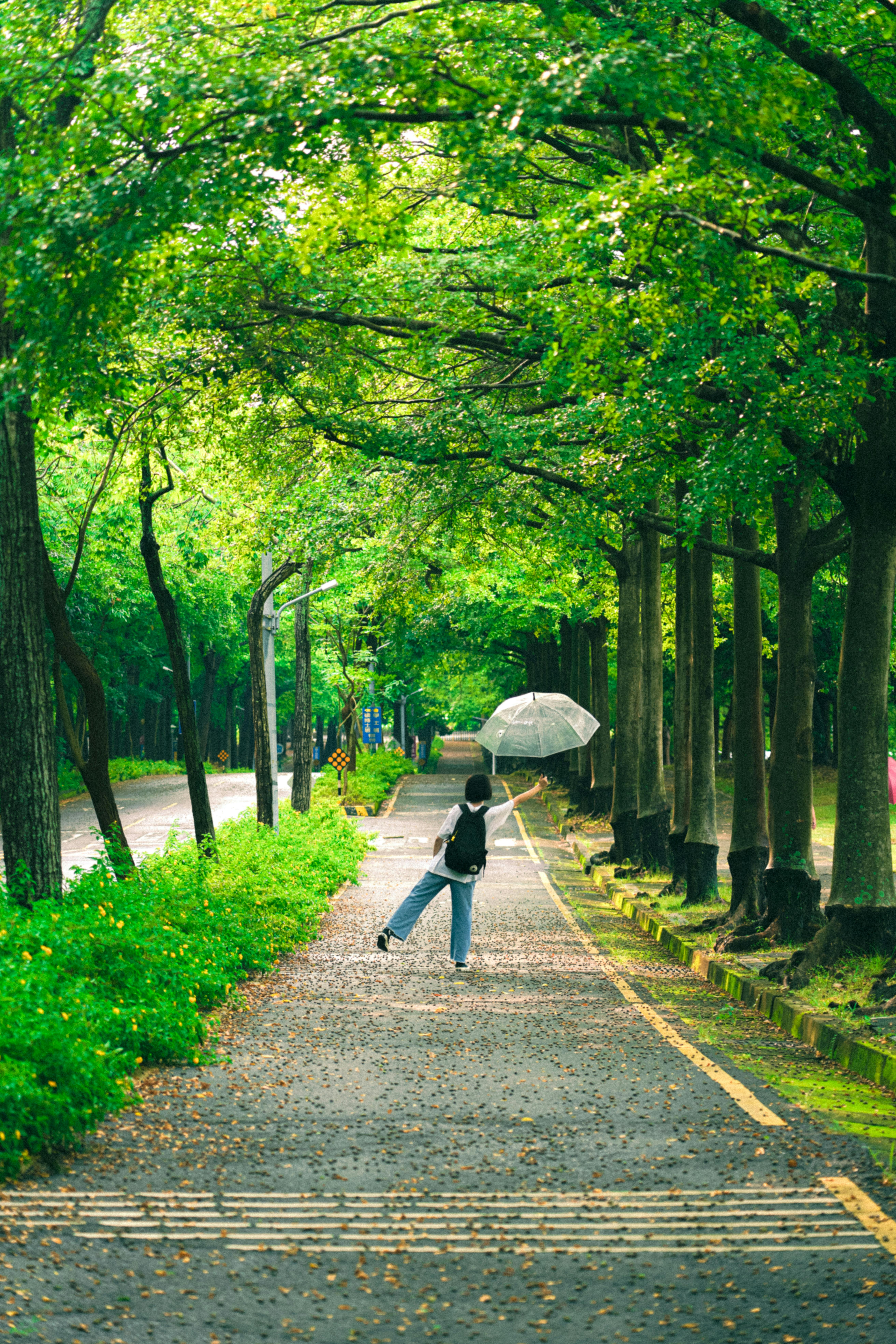 Vera Walk Photos, Download The BEST Free Vera Walk Stock Photos & HD Images