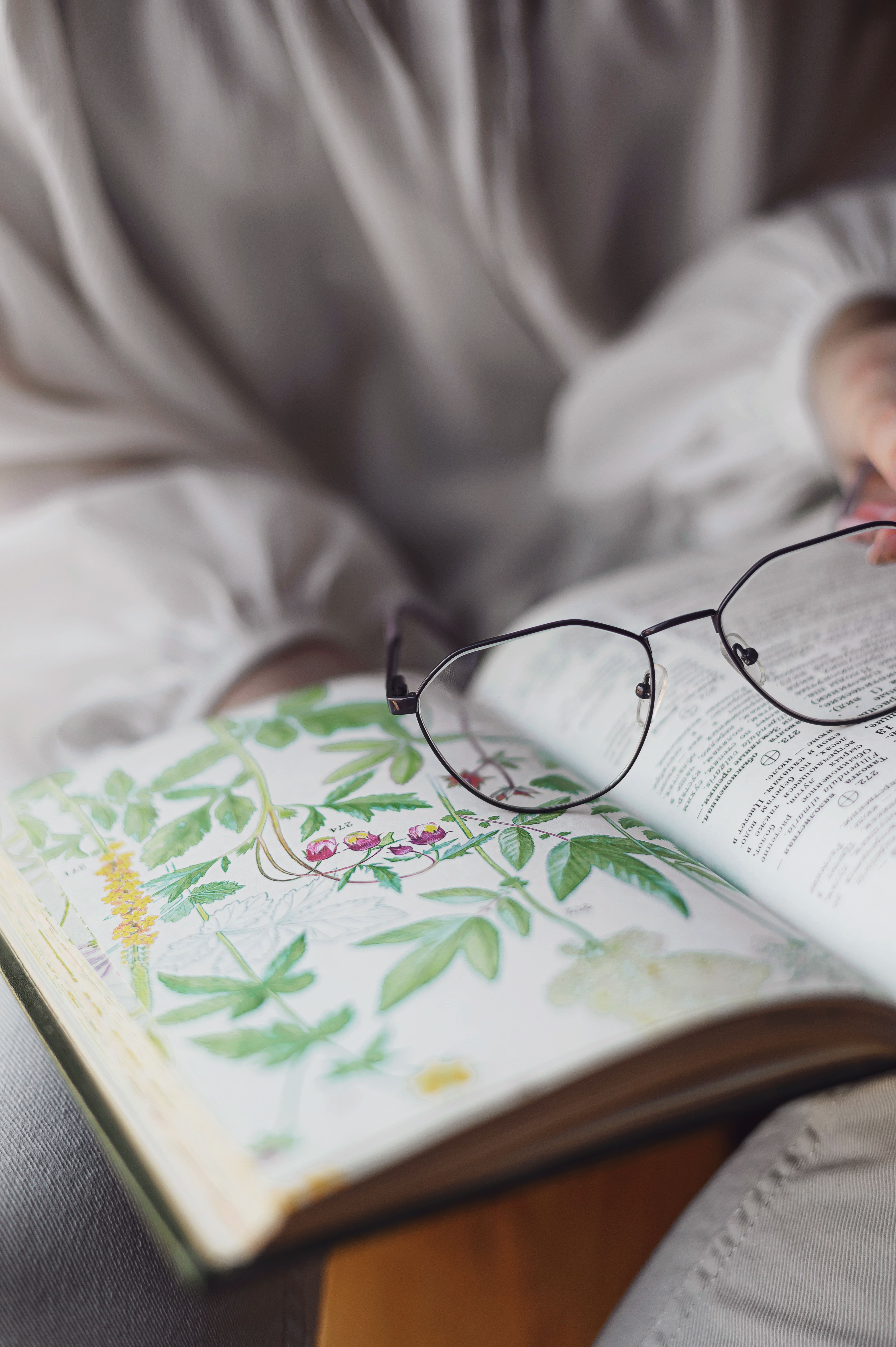 Pages of an Open Book · Free Stock Photo