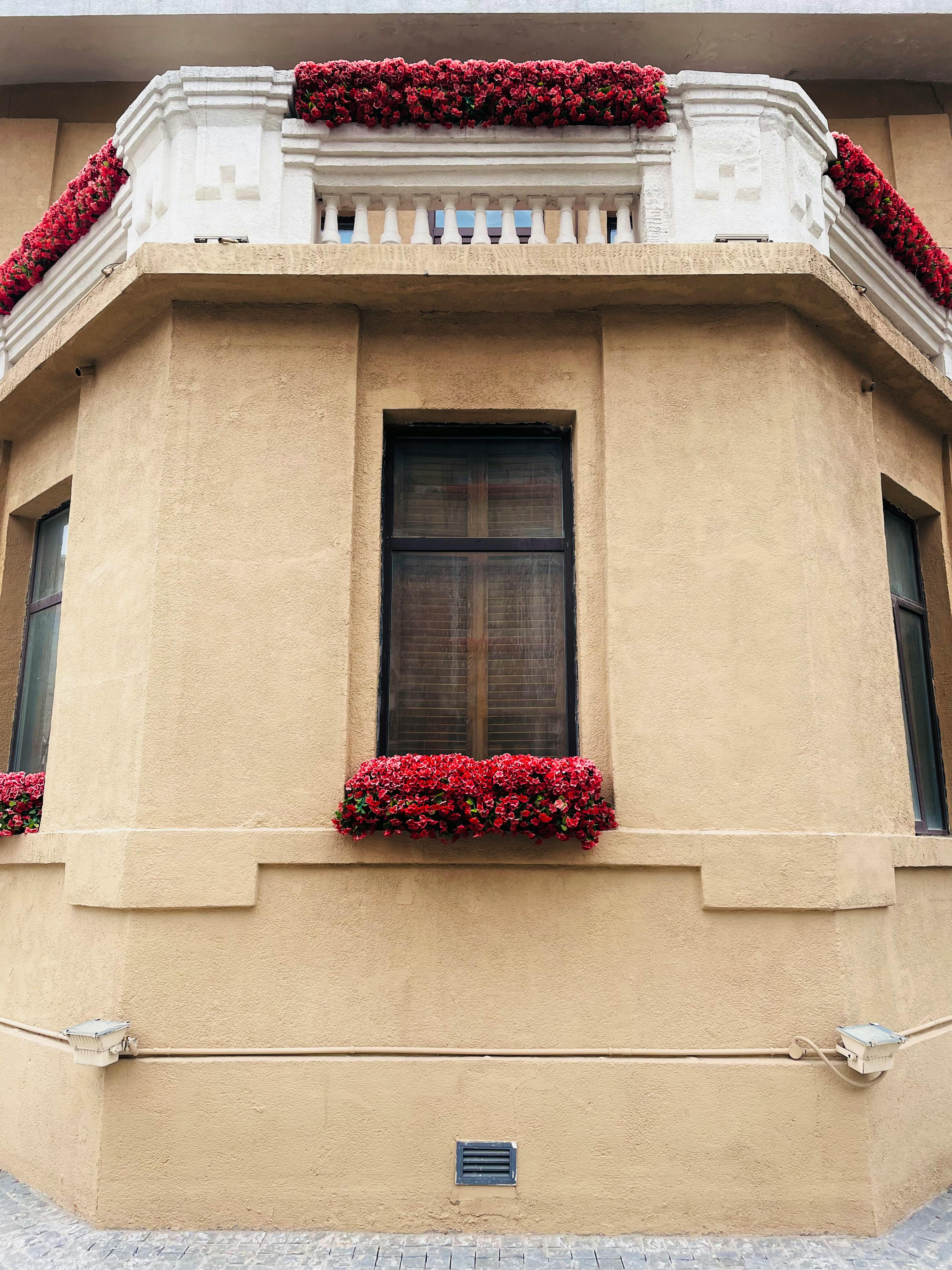 Flowers on Building · Free Stock Photo