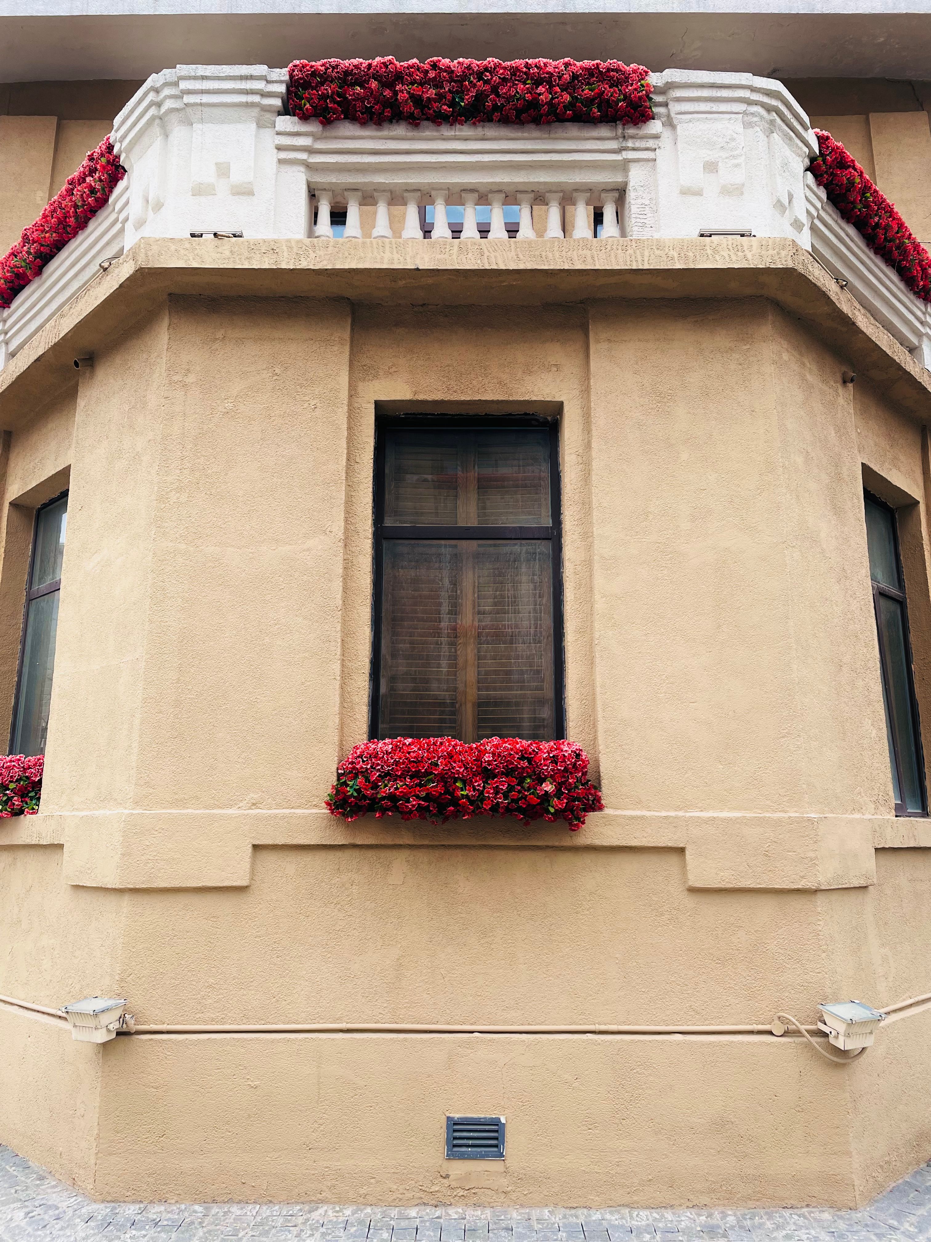 Flowers on Building · Free Stock Photo