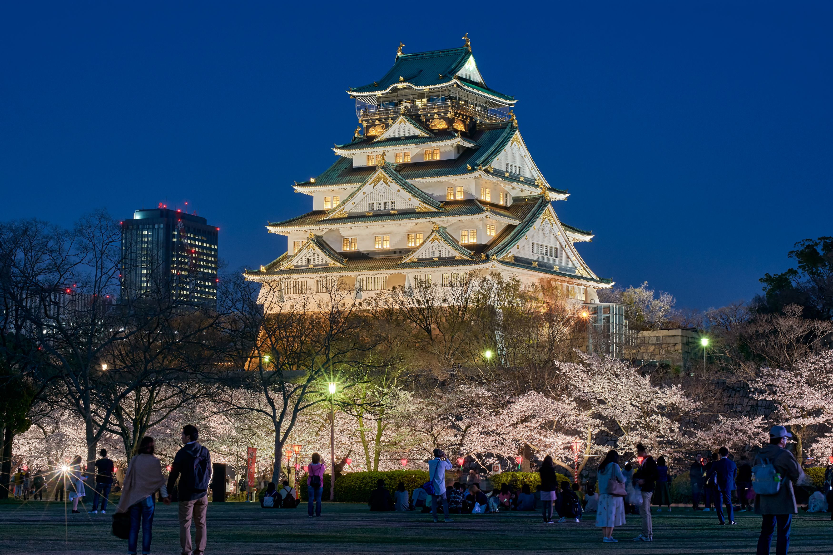 Fuji Night Photos, Download The BEST Free Fuji Night Stock Photos & HD ...