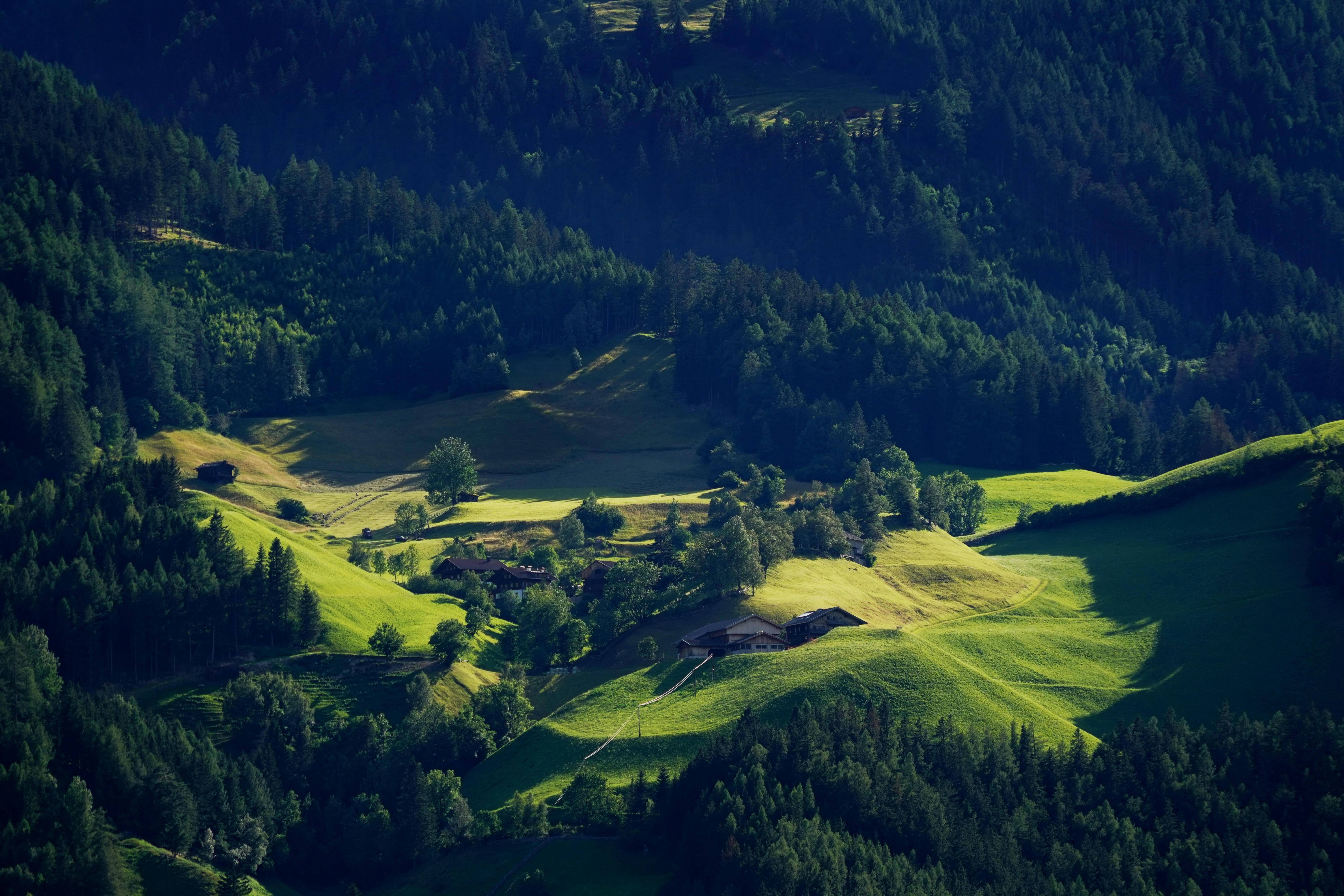 Aerial View of Green Grass Fields and Forest in Mountains · Free Stock ...