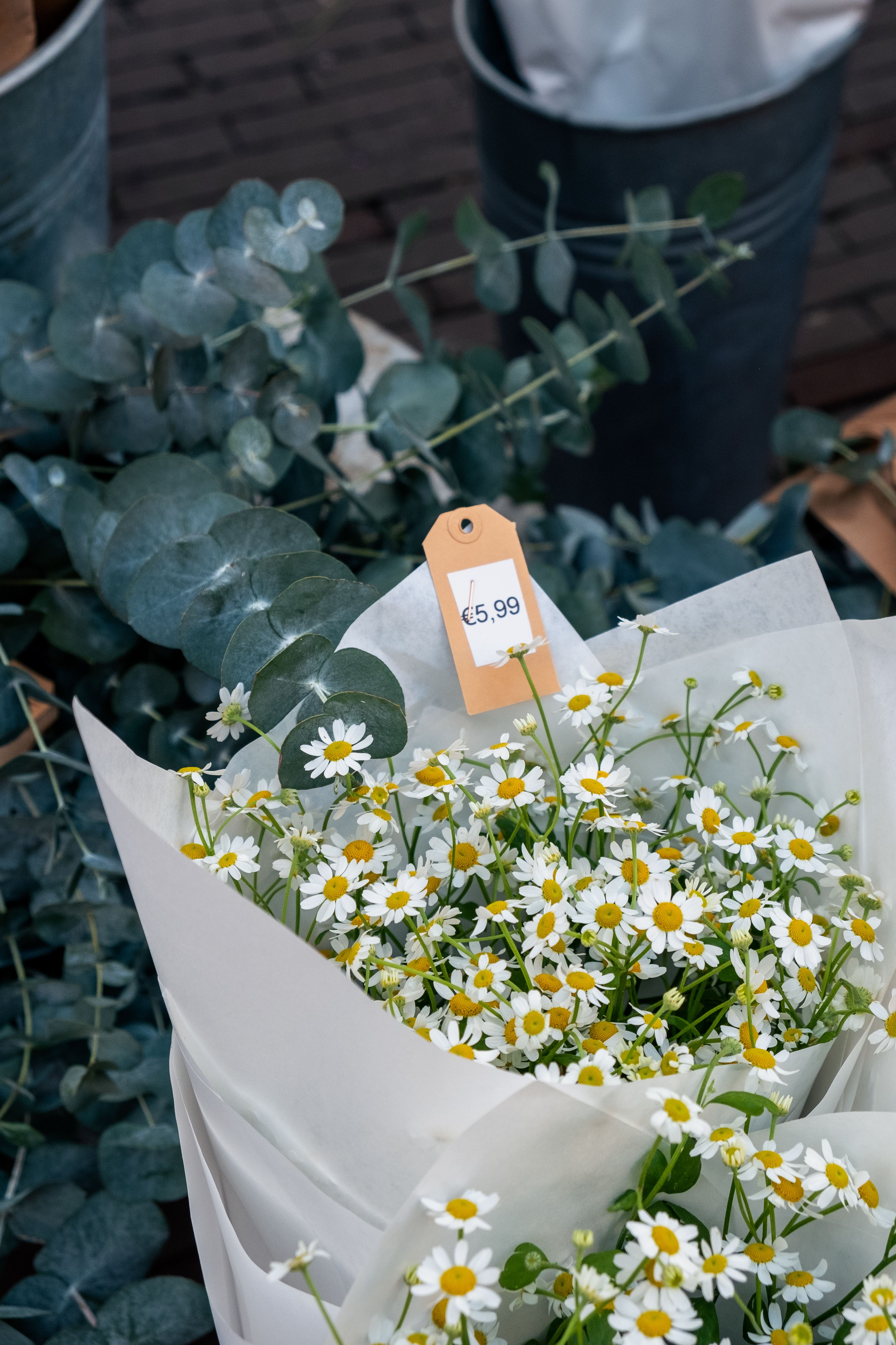 Flower Pharmacy Photos, Download The BEST Free Flower Pharmacy Stock ...
