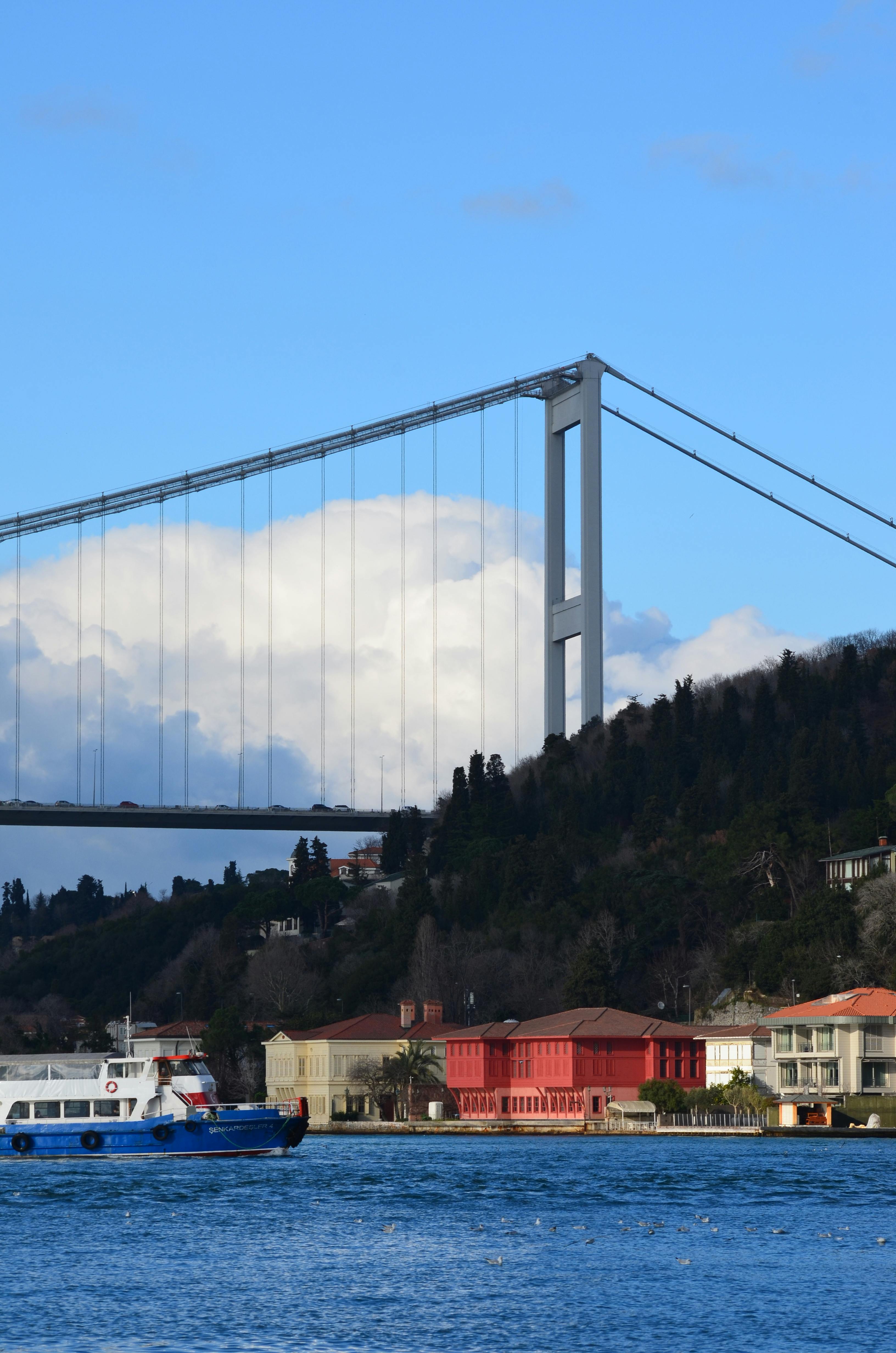 Algorithm Structure Photos, Download The BEST Free Algorithm Structure ...