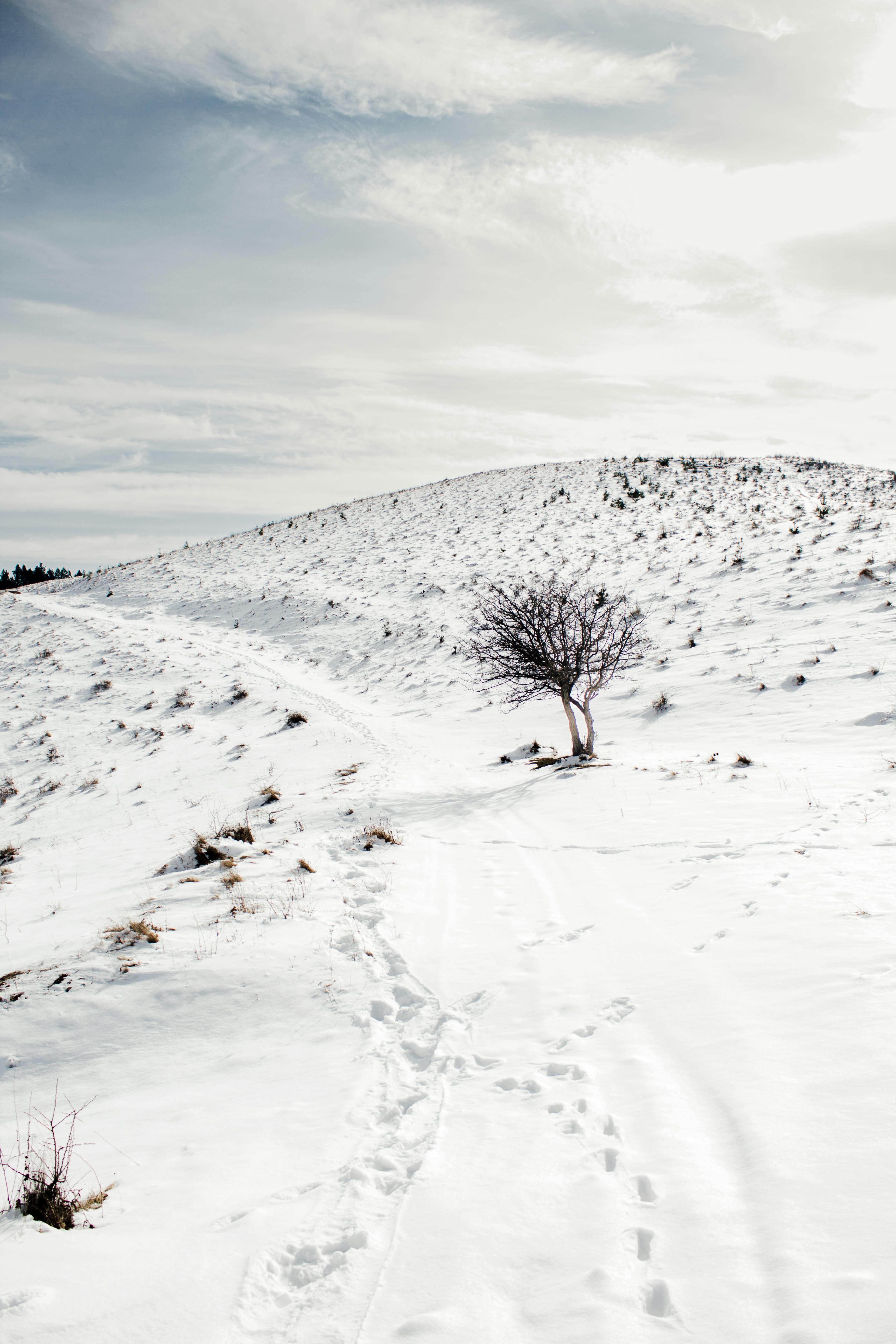 Isolation Landscape Photos, Download The BEST Free Isolation Landscape ...