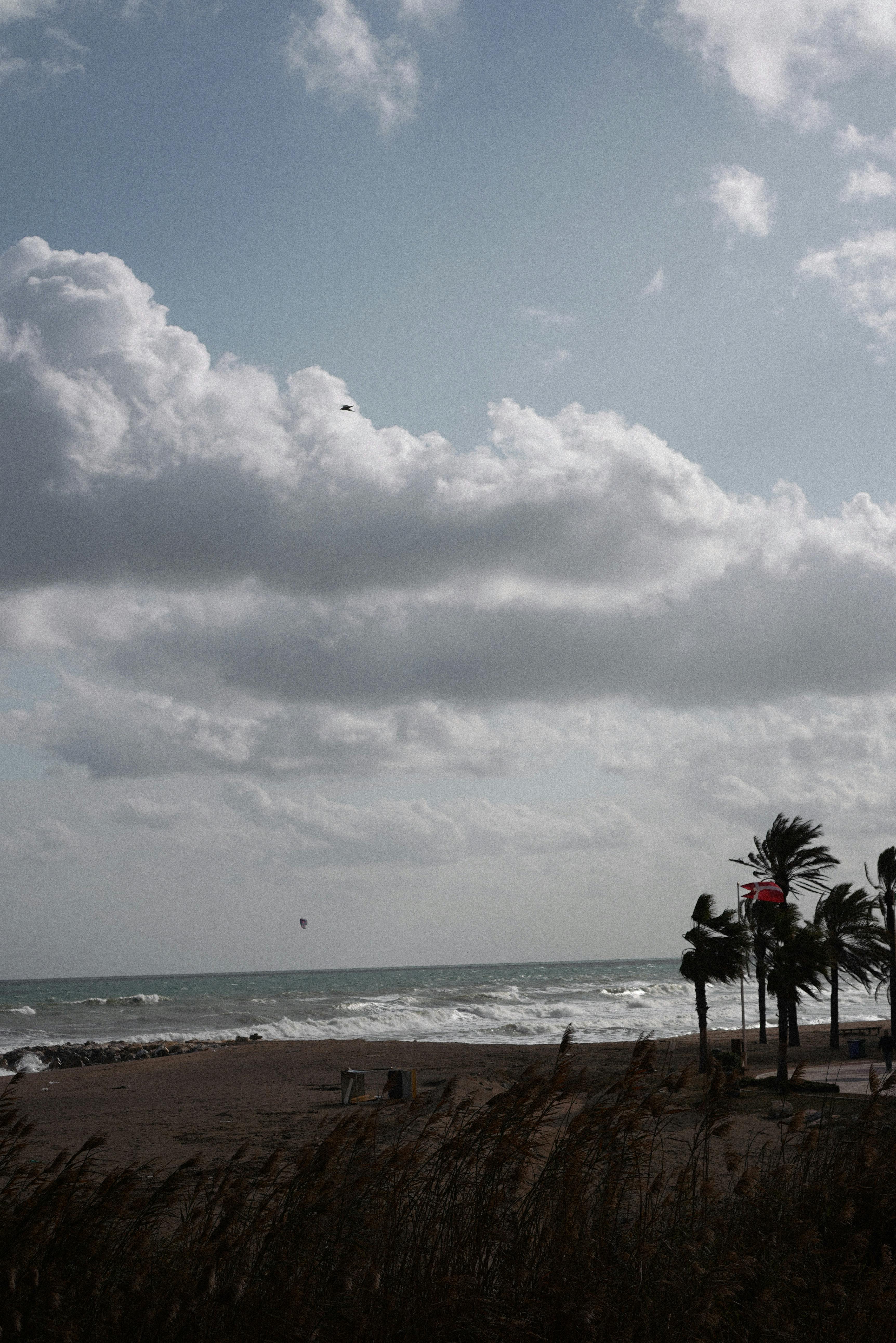 Windy Sea Weather · Free Stock Photo