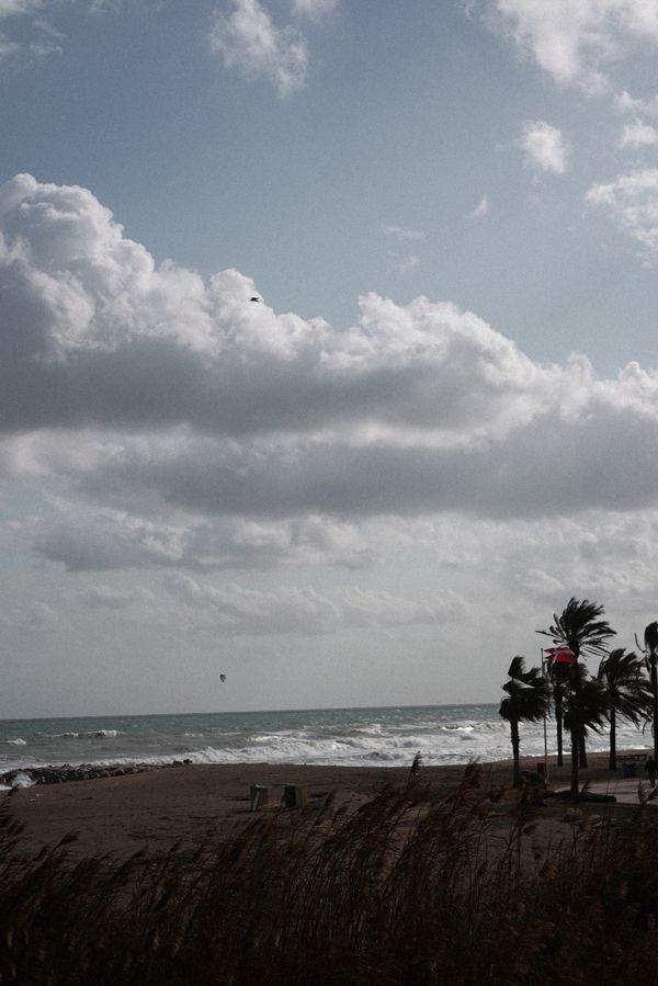 Windy Day Images Free Photos, Download The BEST Free Windy Day Images ...