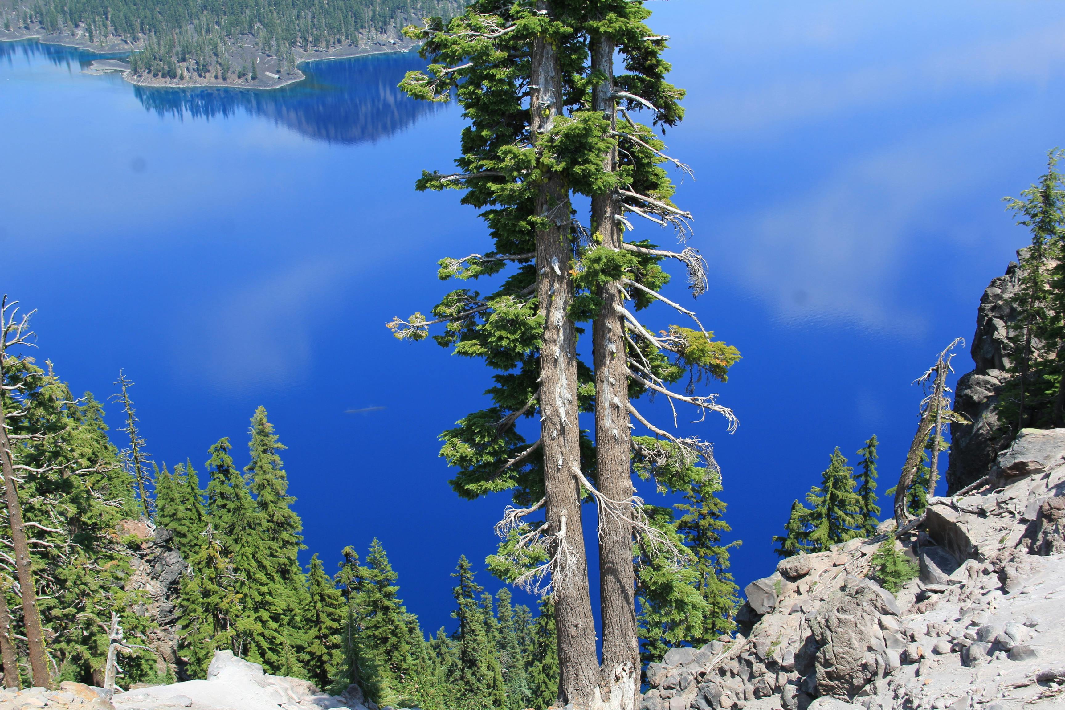 Forested Lake Photos, Download The BEST Free Forested Lake Stock Photos ...
