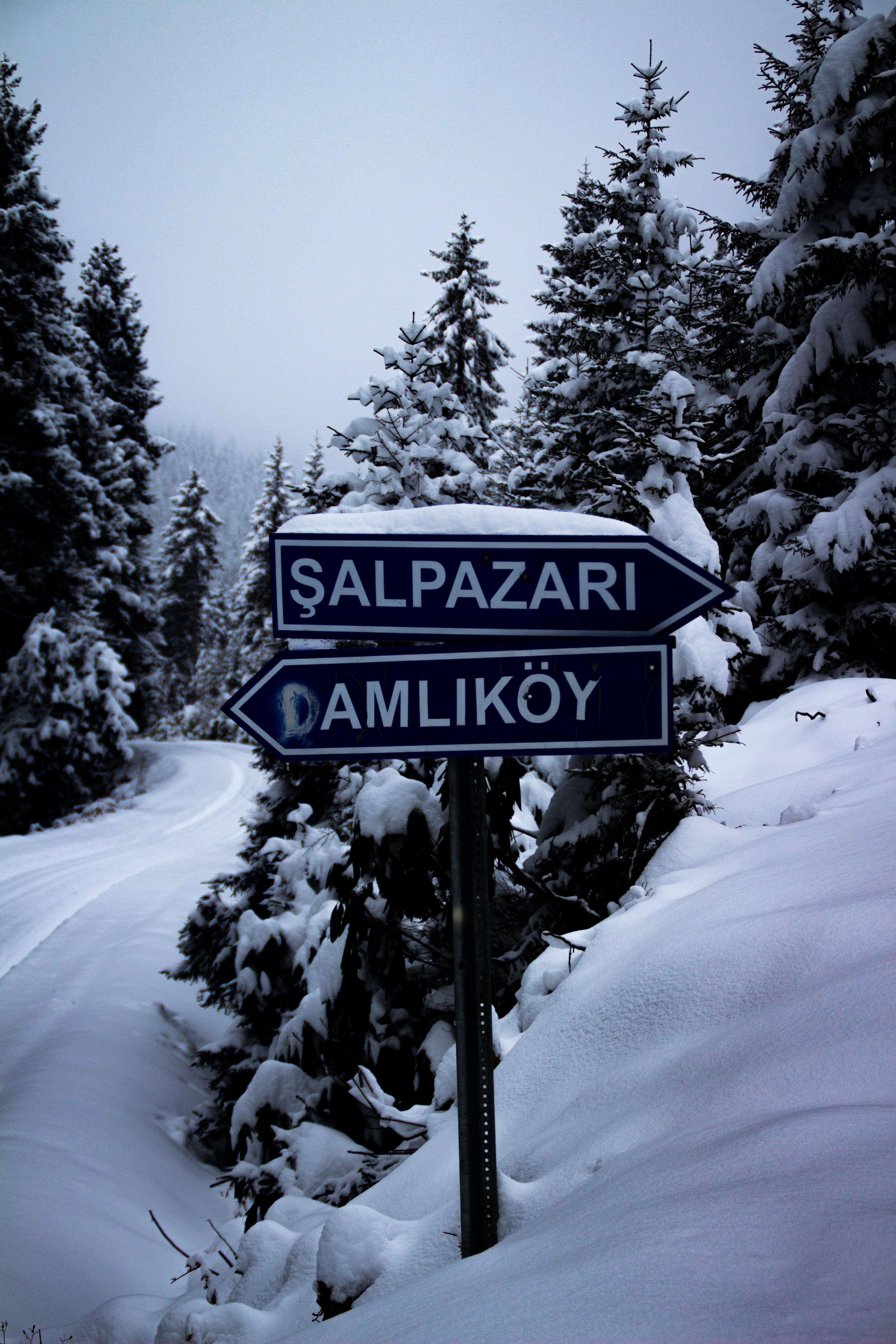 Road Signs in Turkey · Free Stock Photo
