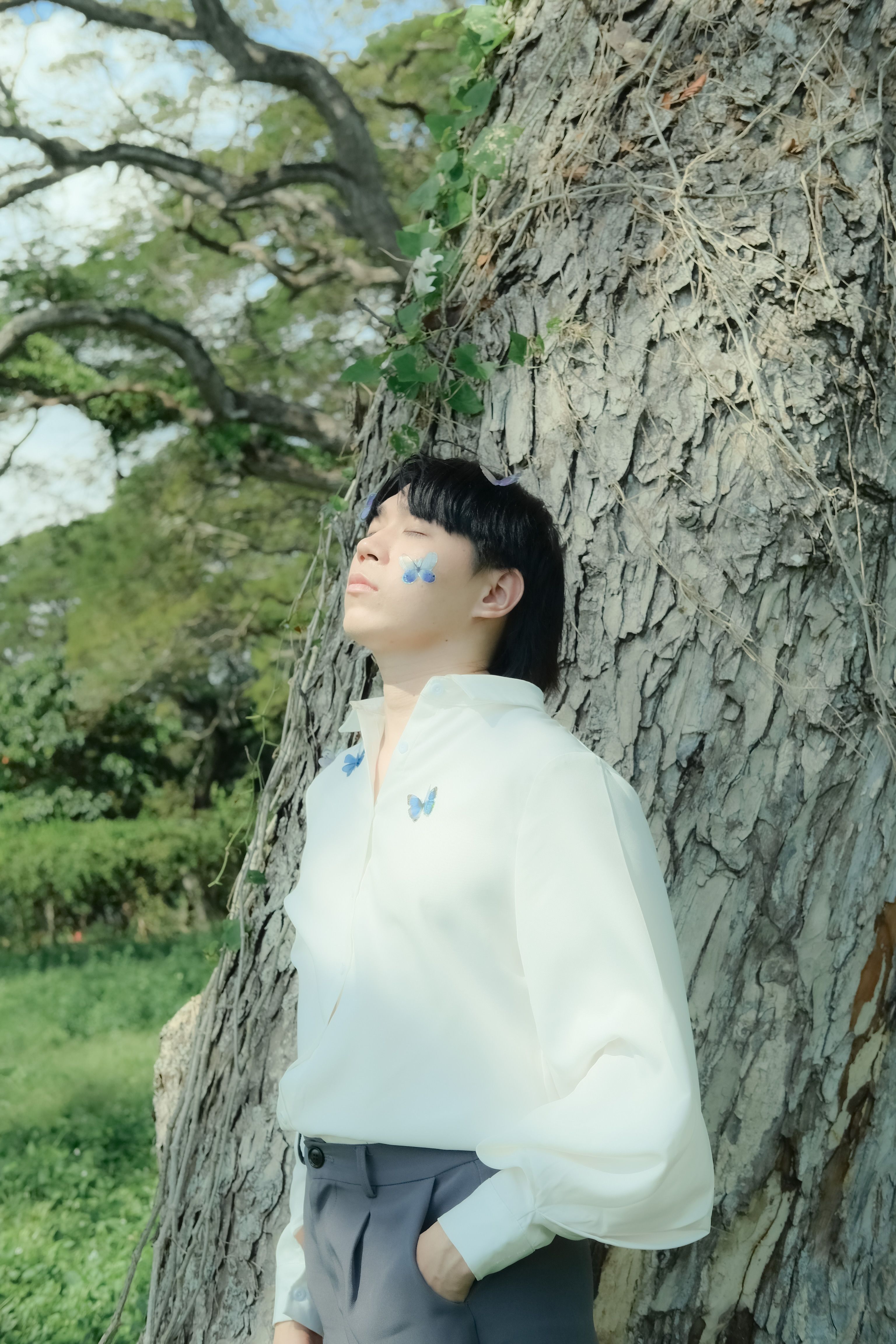 Man with Butterflies on Face Posing near Tree Trunk · Free Stock Photo