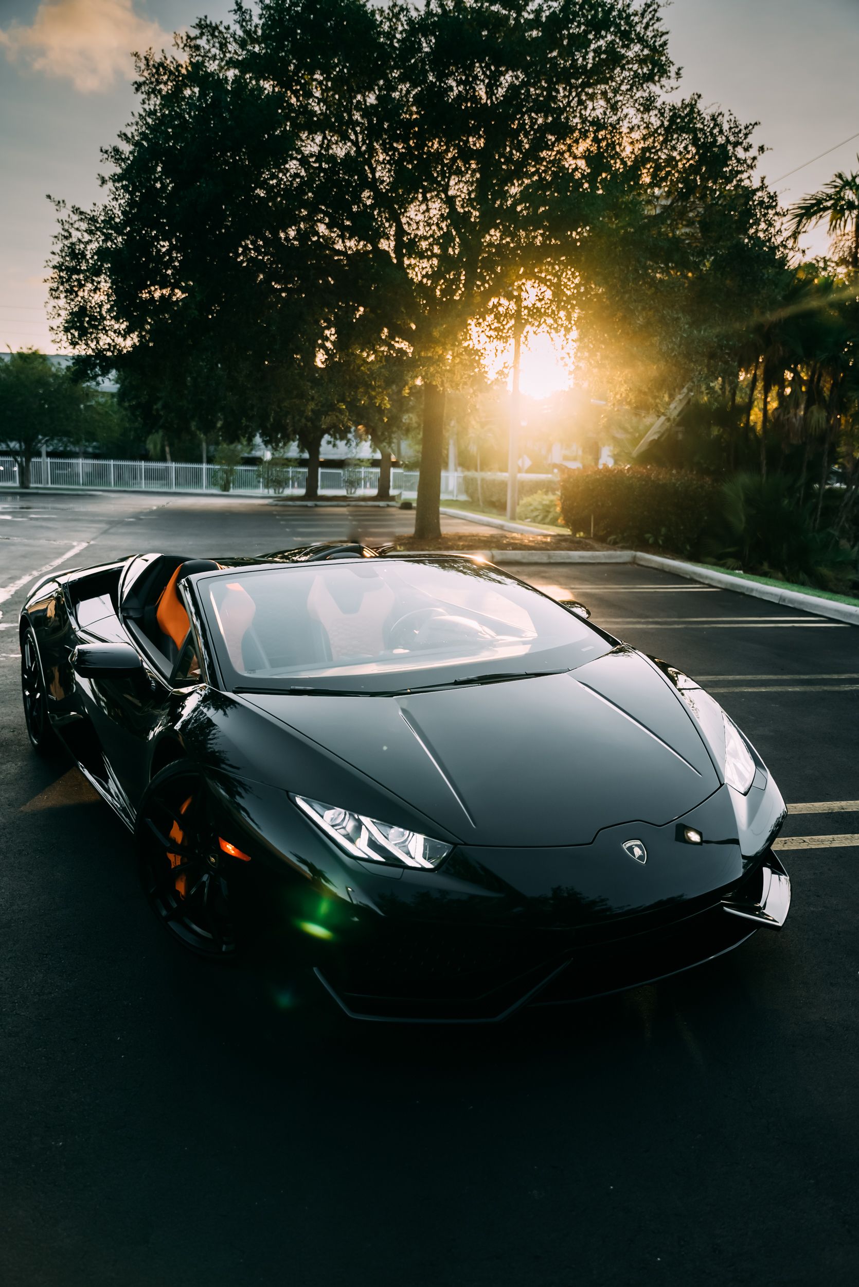 Xeno Car Photos, Download The BEST Free Xeno Car Stock Photos & HD Images