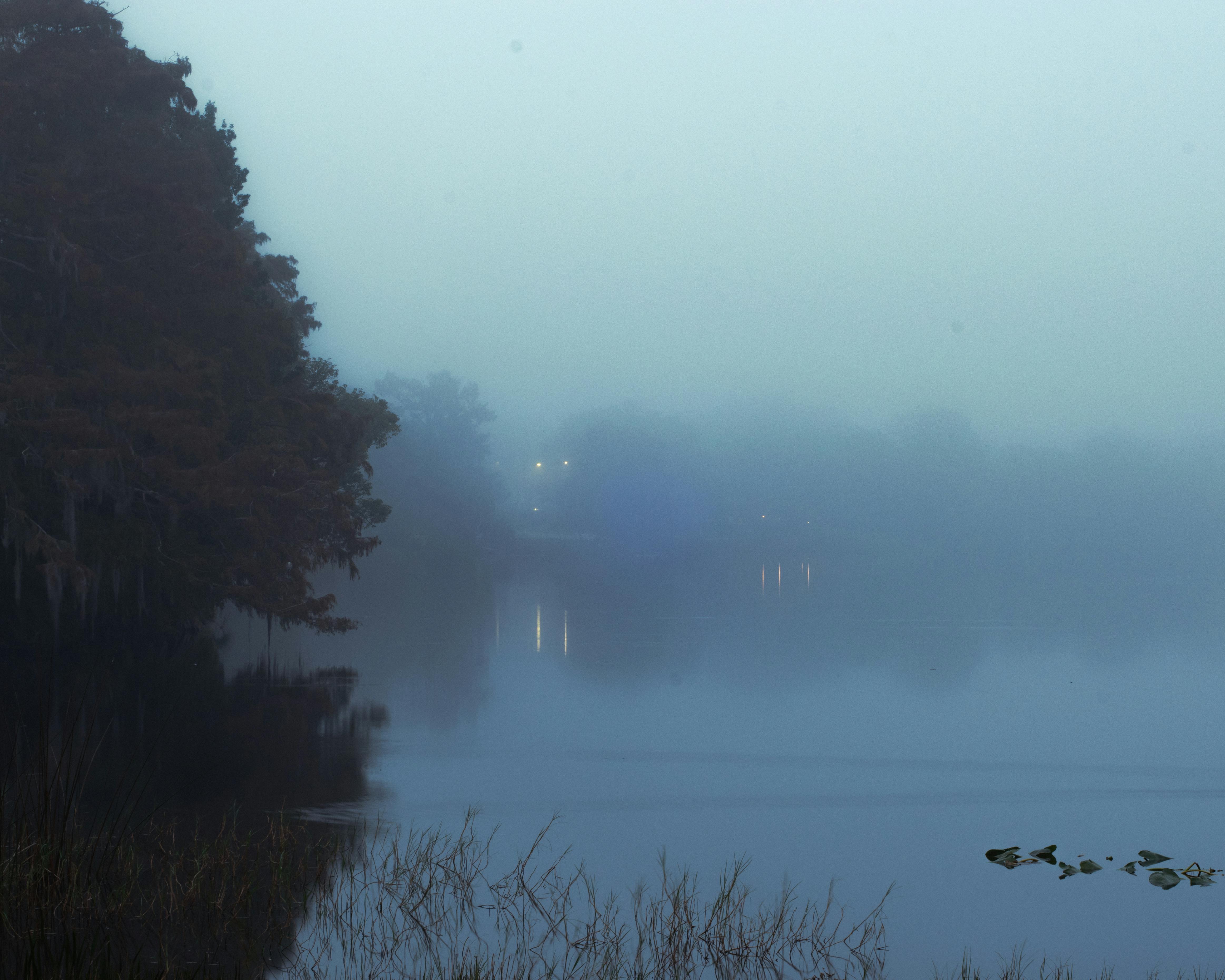 Lake in Fog in Wild Nature · Free Stock Photo